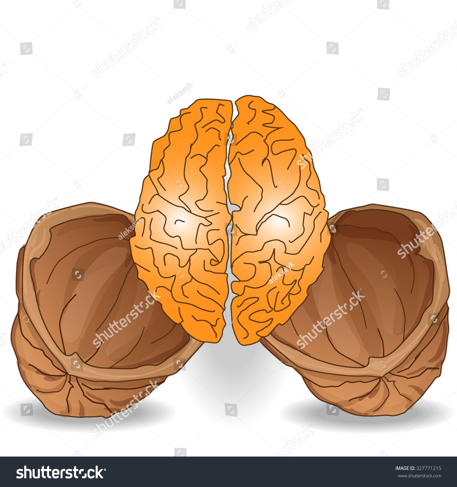 Walnut Brain Illustration Isolated Stock Vector (Royalty Free) 327771215