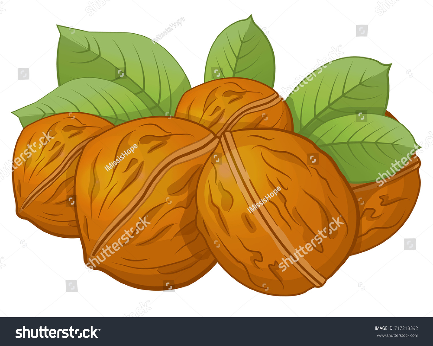 Walnut Cartoon Vector Illustration On White Stock Vector (Royalty Free ...