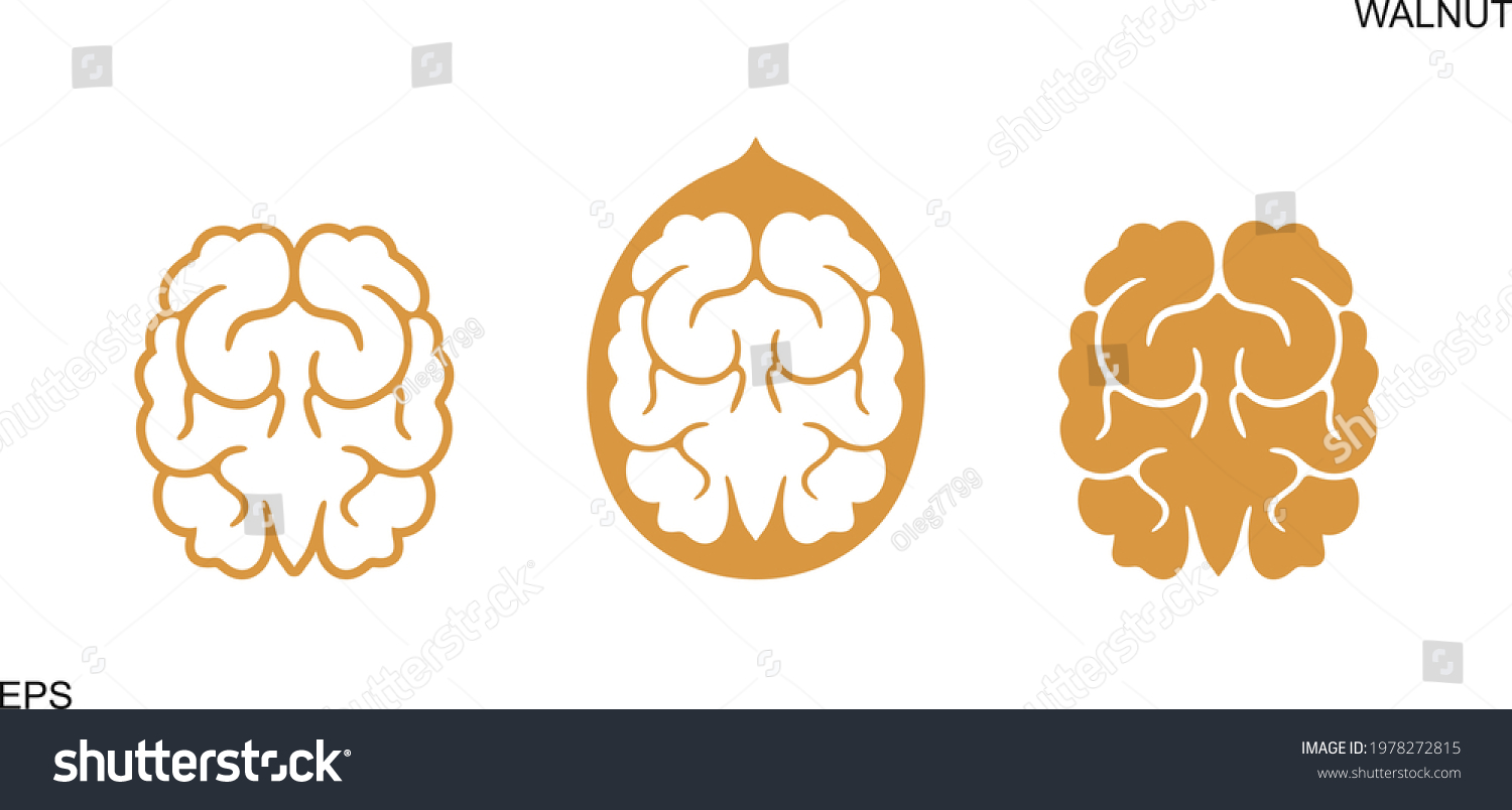Walnut Logo Isolated Walnut On White Stock Vector (Royalty Free ...