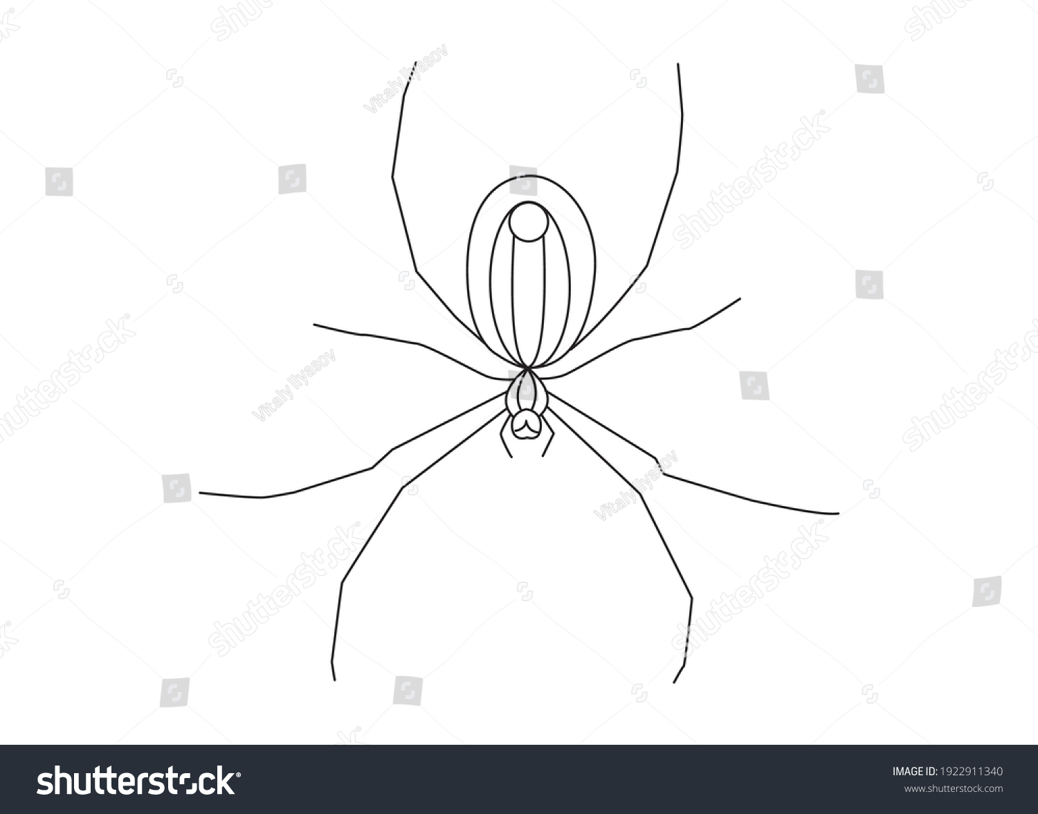 Wasp Spider Line Drawing Vector Stock Vector (Royalty Free) 1922911340