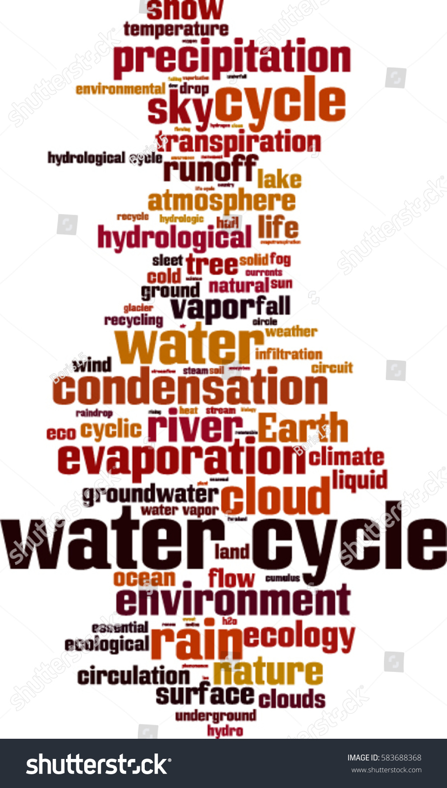 Water Cycle Word Cloud Concept Vector Stock Vector (Royalty Free ...