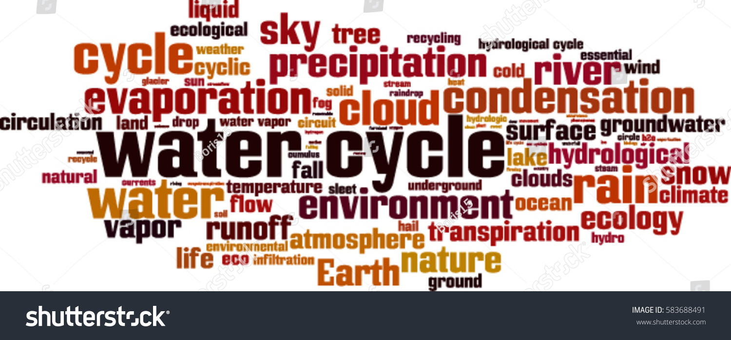 Water Cycle Word Cloud Concept Vector Stock Vector (Royalty Free ...