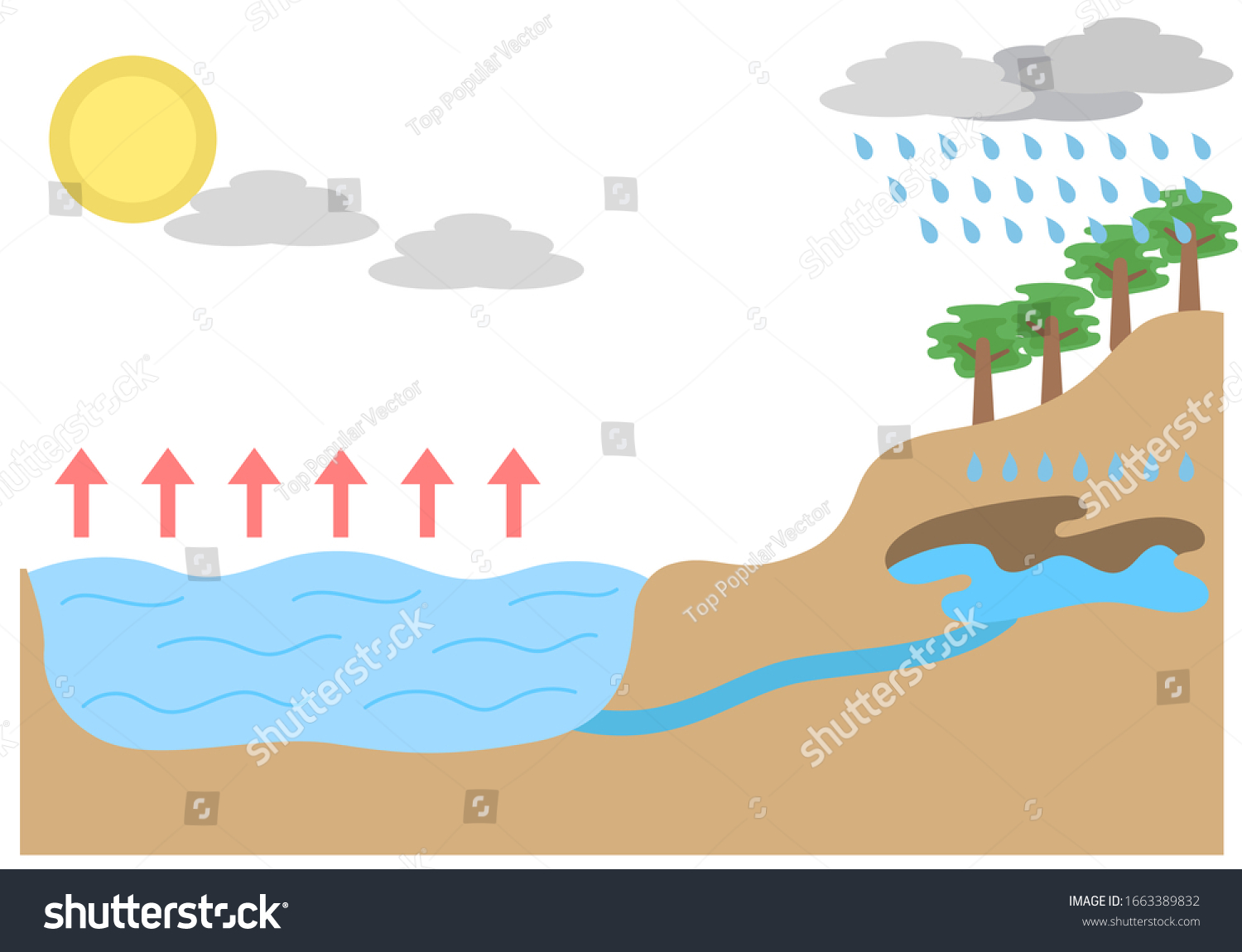 Vektor Stok Water Infiltration Cycle Scheme Vector Illustration (Tanpa ...