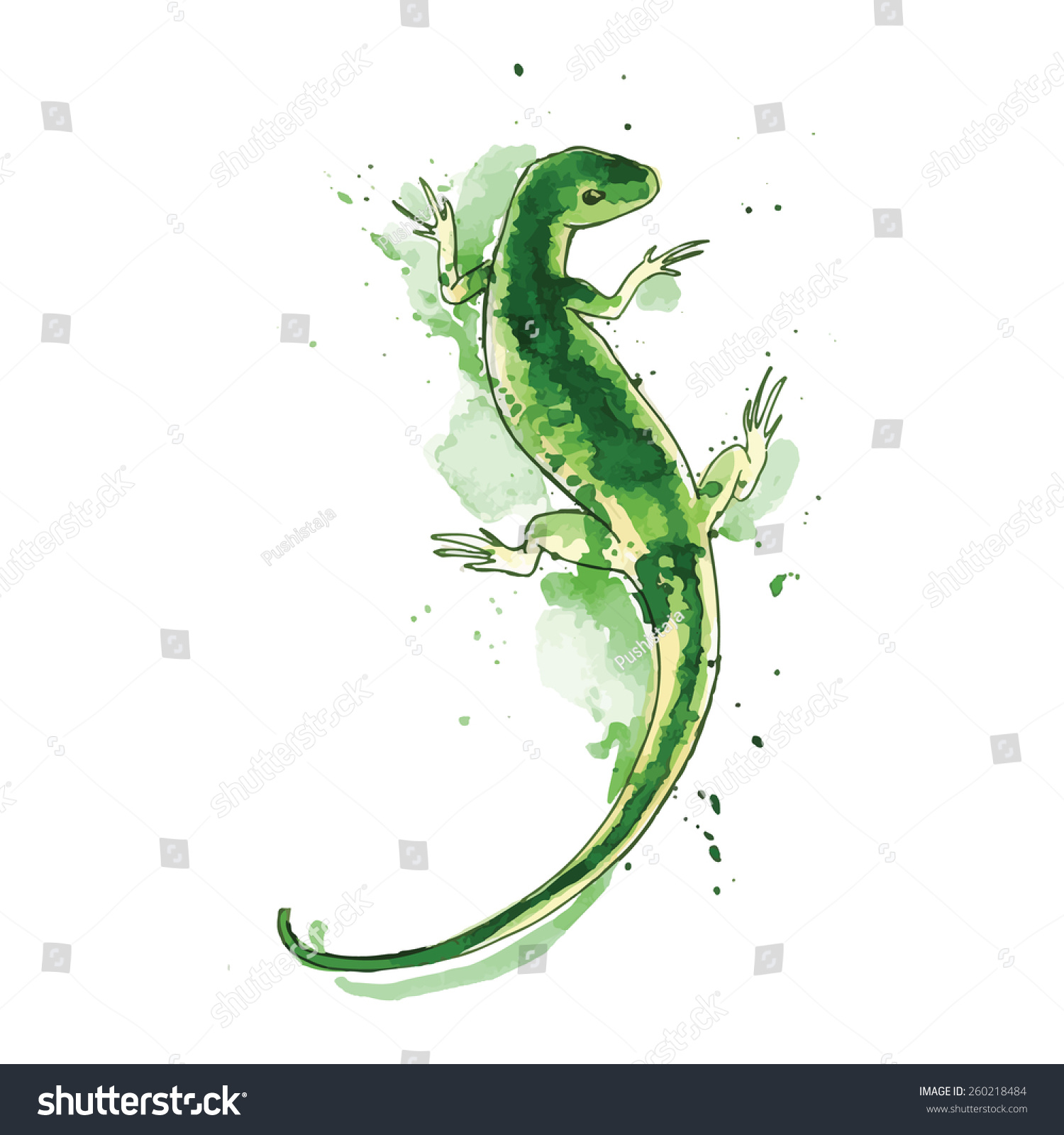 Watercolor Green Lizard Vector Stock Vector (Royalty Free) 260218484