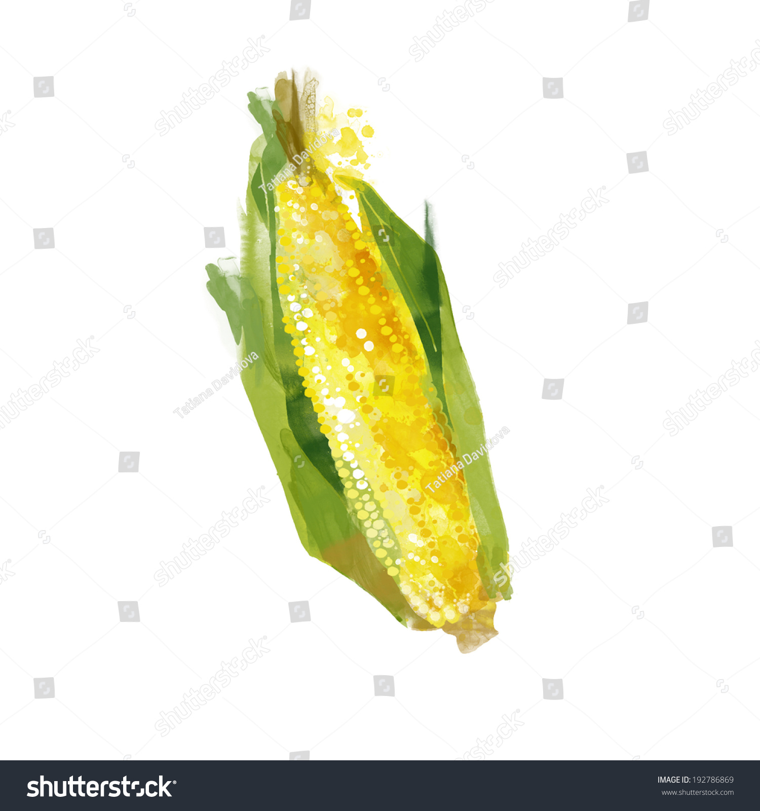 Watercolor Vector Maize Stock Vector (Royalty Free) 192786869 ...