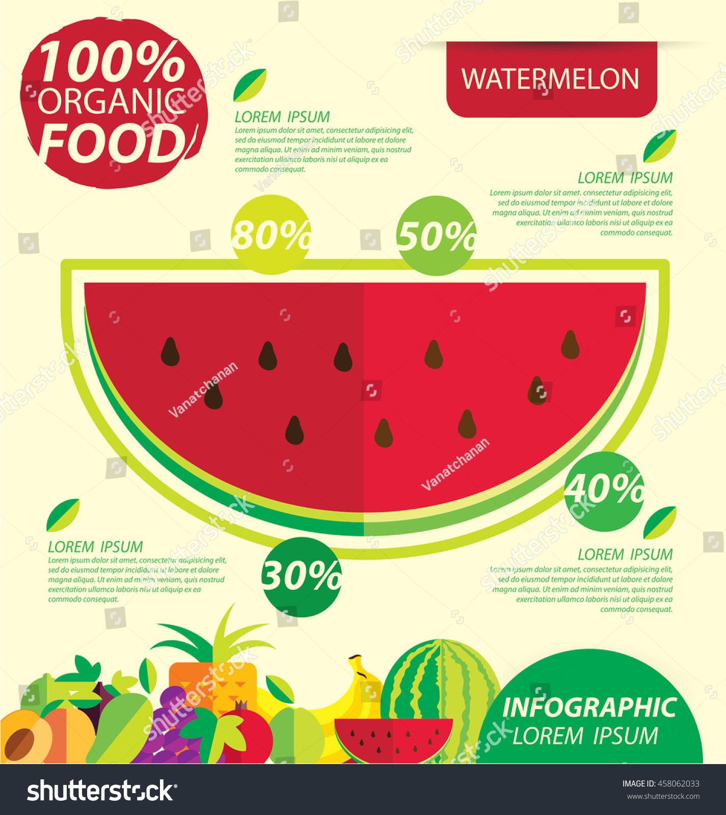 Watermelon Infographic Template Vector Illustration Stock Vector ...
