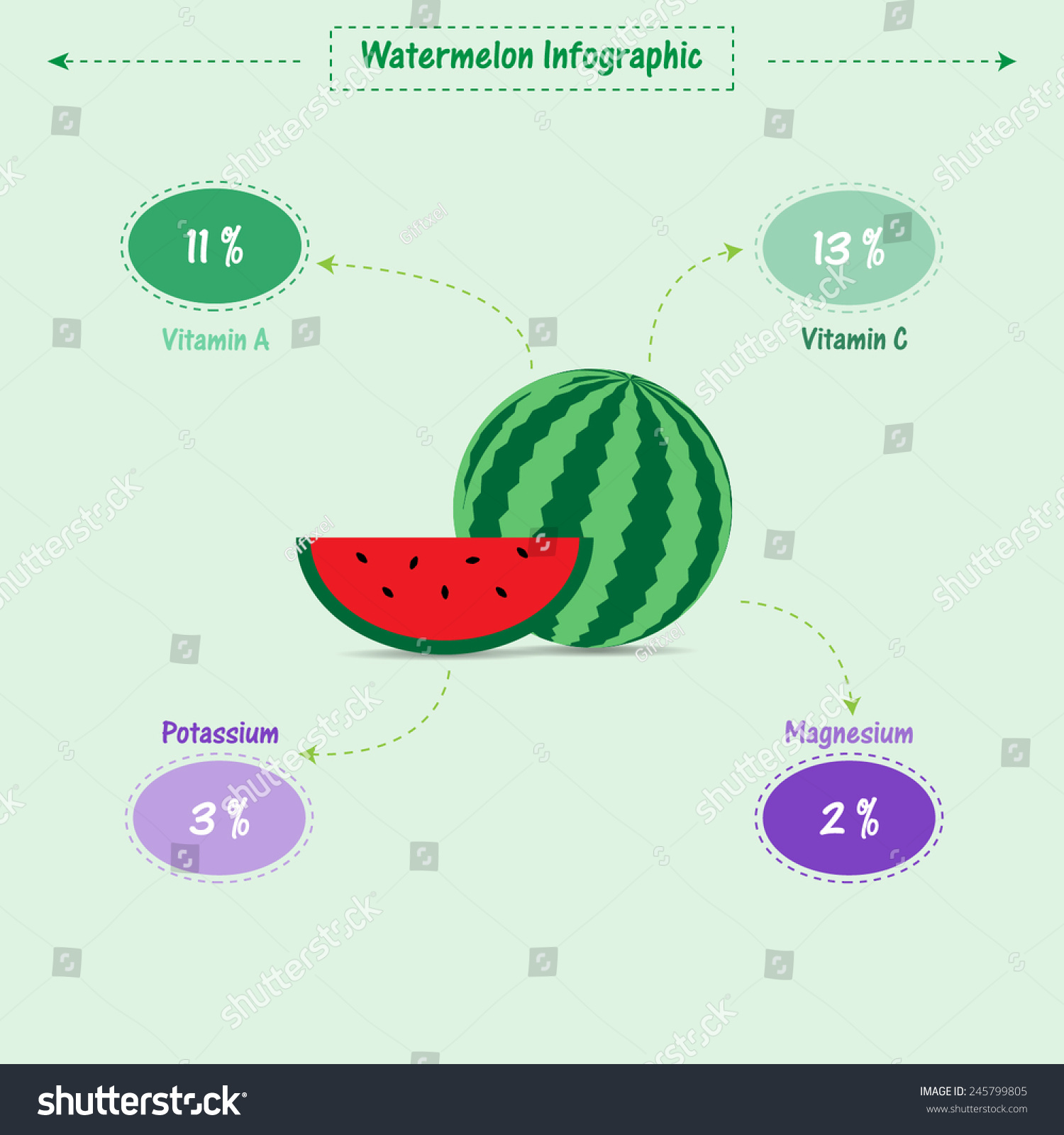 Watermelon Nutrient Infographic Stock Vector (Royalty Free) 245799805 ...