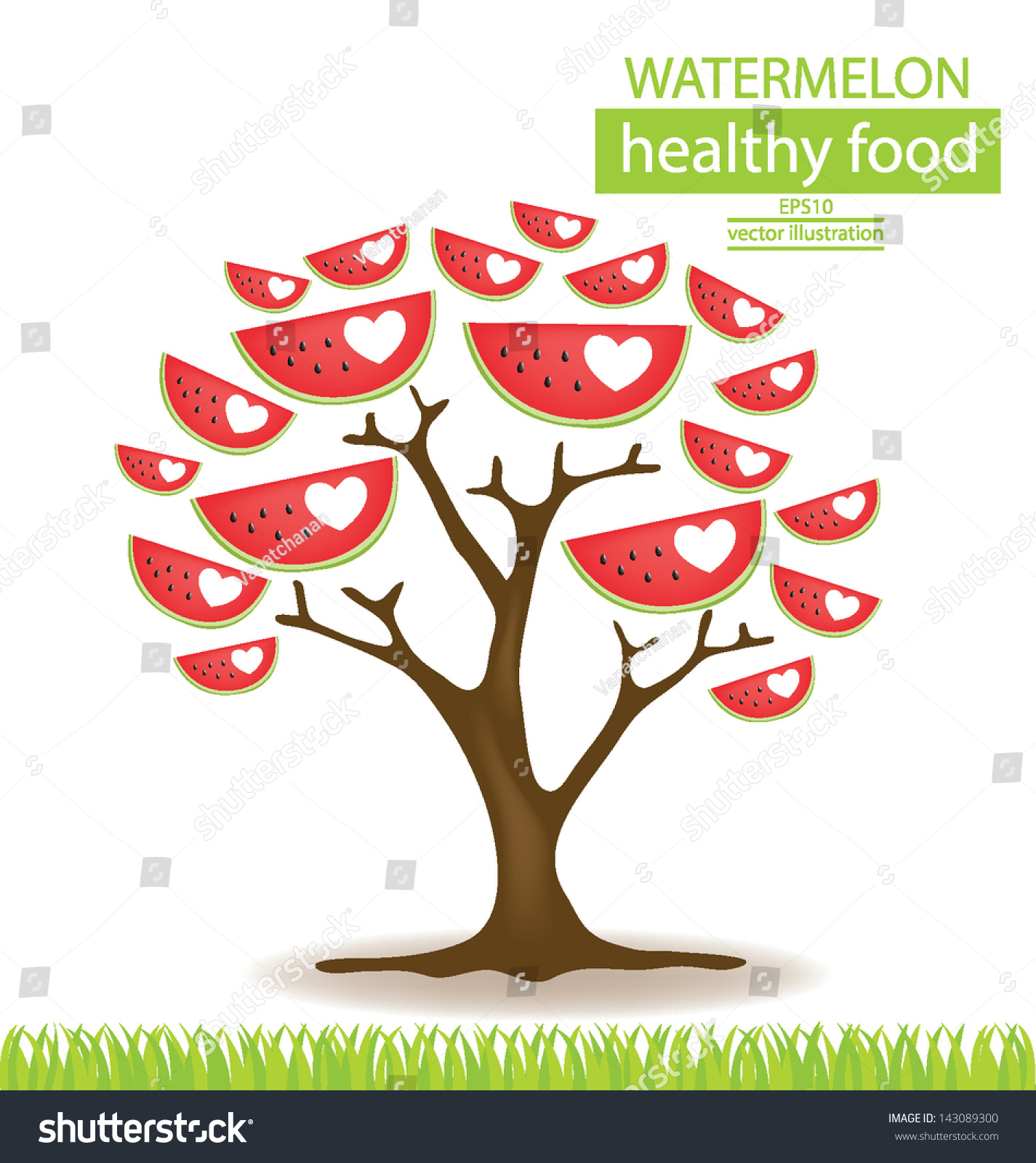 Watermelon Tree Vector Illustration Stock Vector (Royalty Free ...