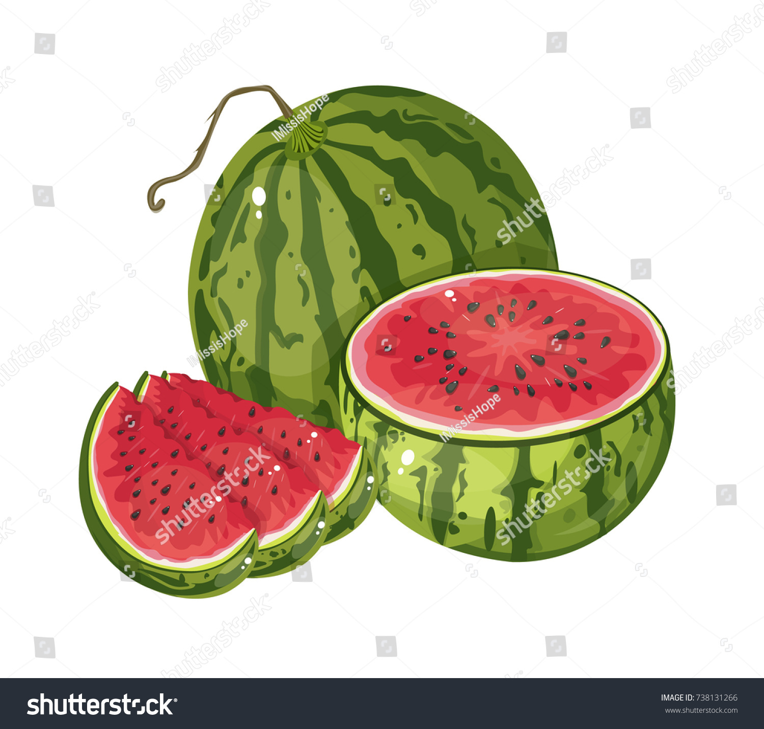 Watermelon Vector Illustration Stock Vector (Royalty Free) 738131266 ...