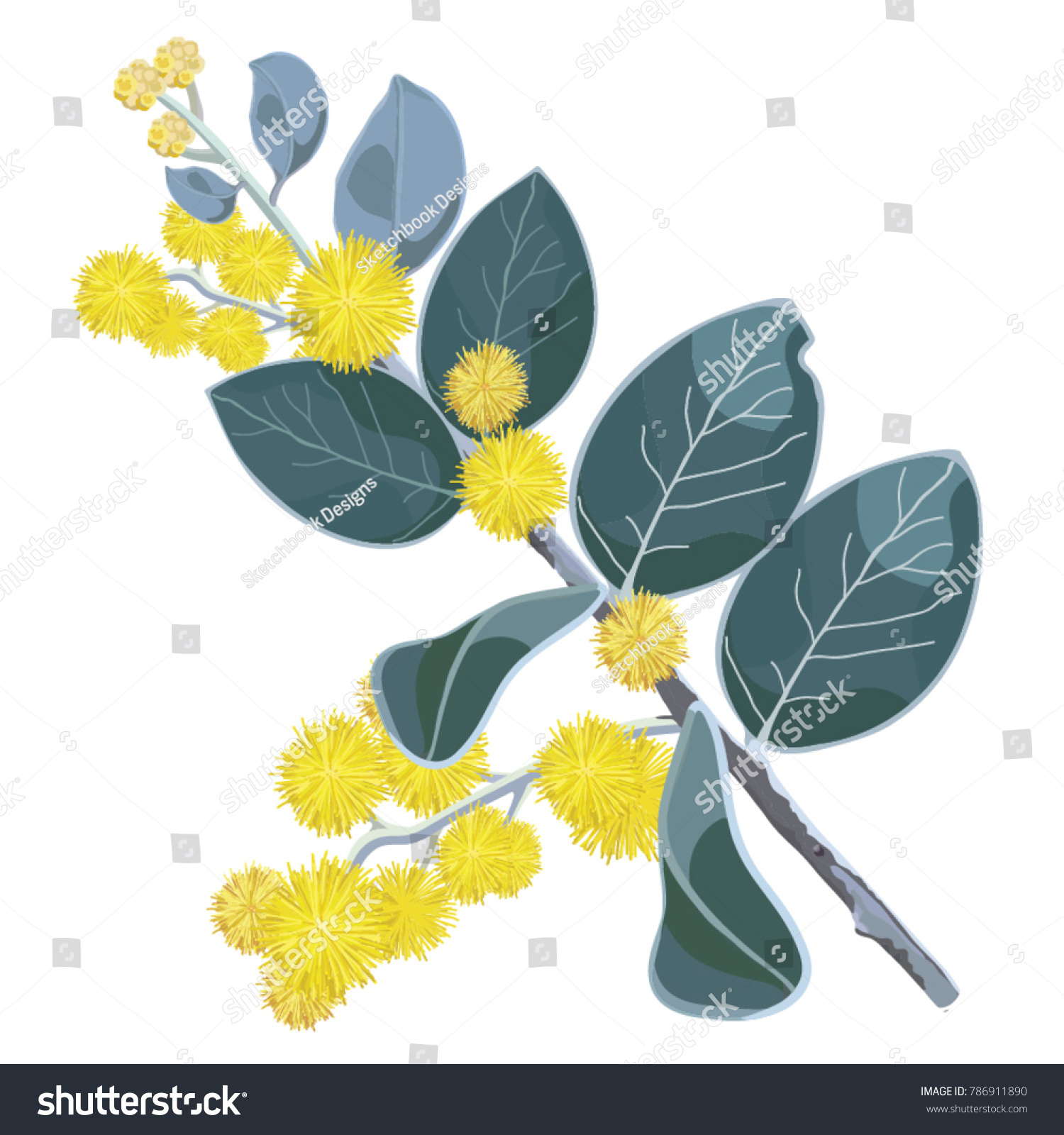 Wattling Images, Stock Photos & Vectors | Shutterstock