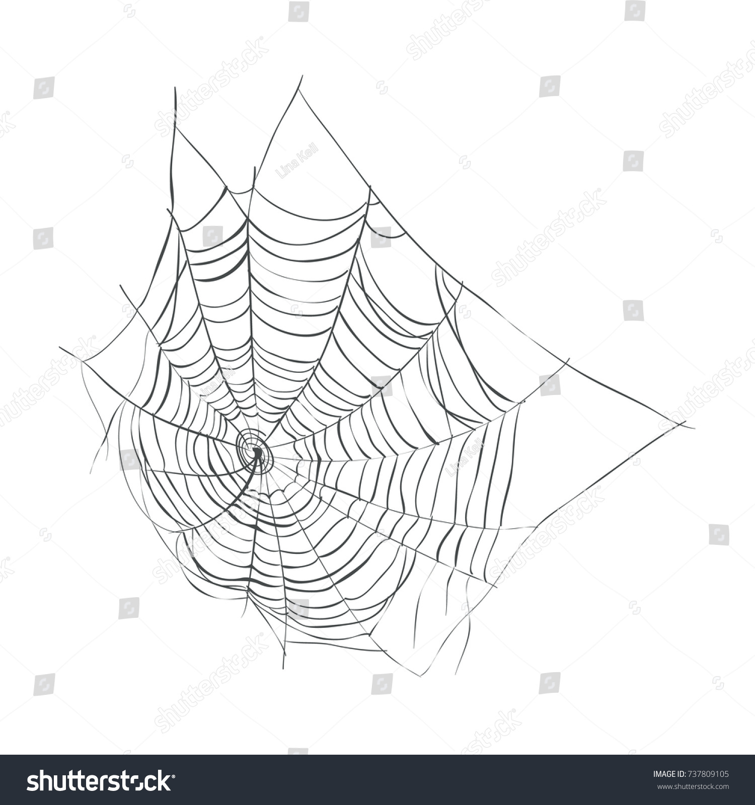Web Spider Vector Illustration Cobweb Sketch Stock Vector (Royalty Free ...