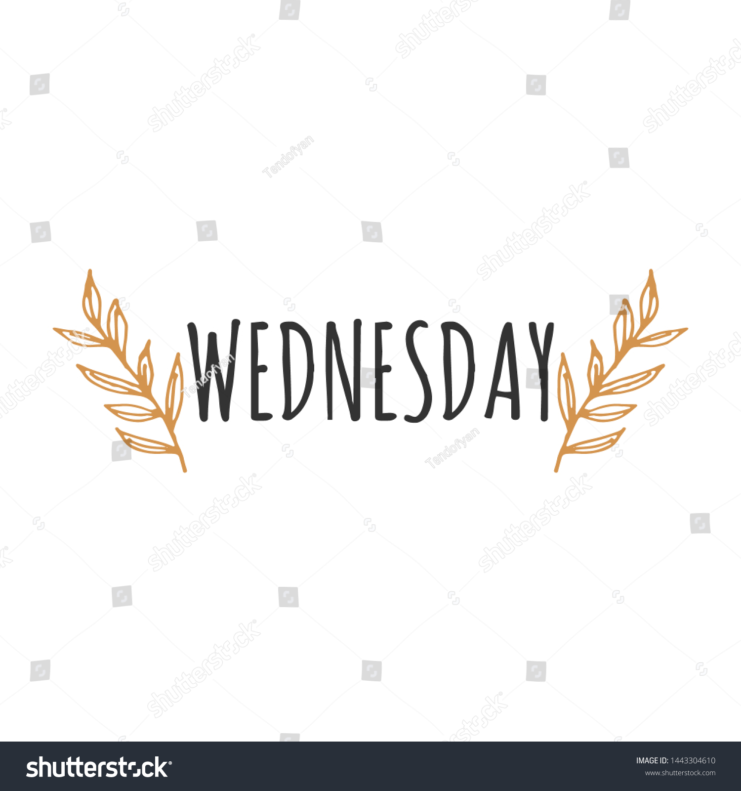 Wednesday Design Template Vector Illustration Stock Vector (Royalty ...