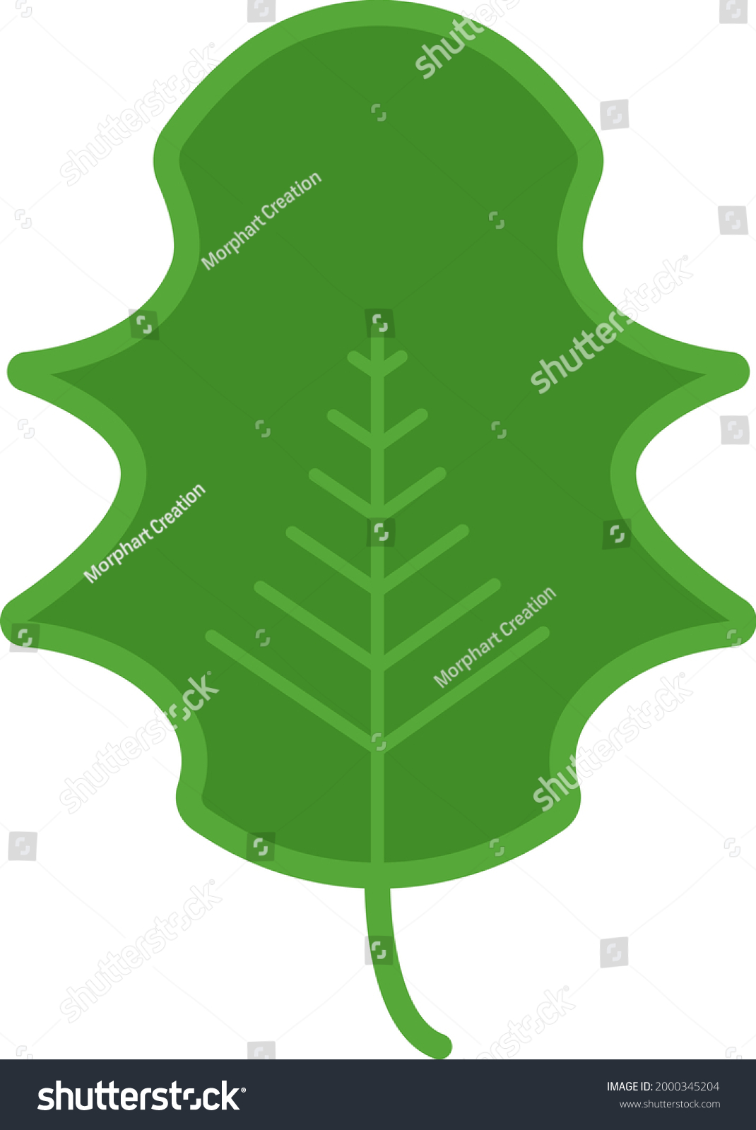 Weird Shaped Leaf Illustration On White Stock Vector (Royalty Free ...