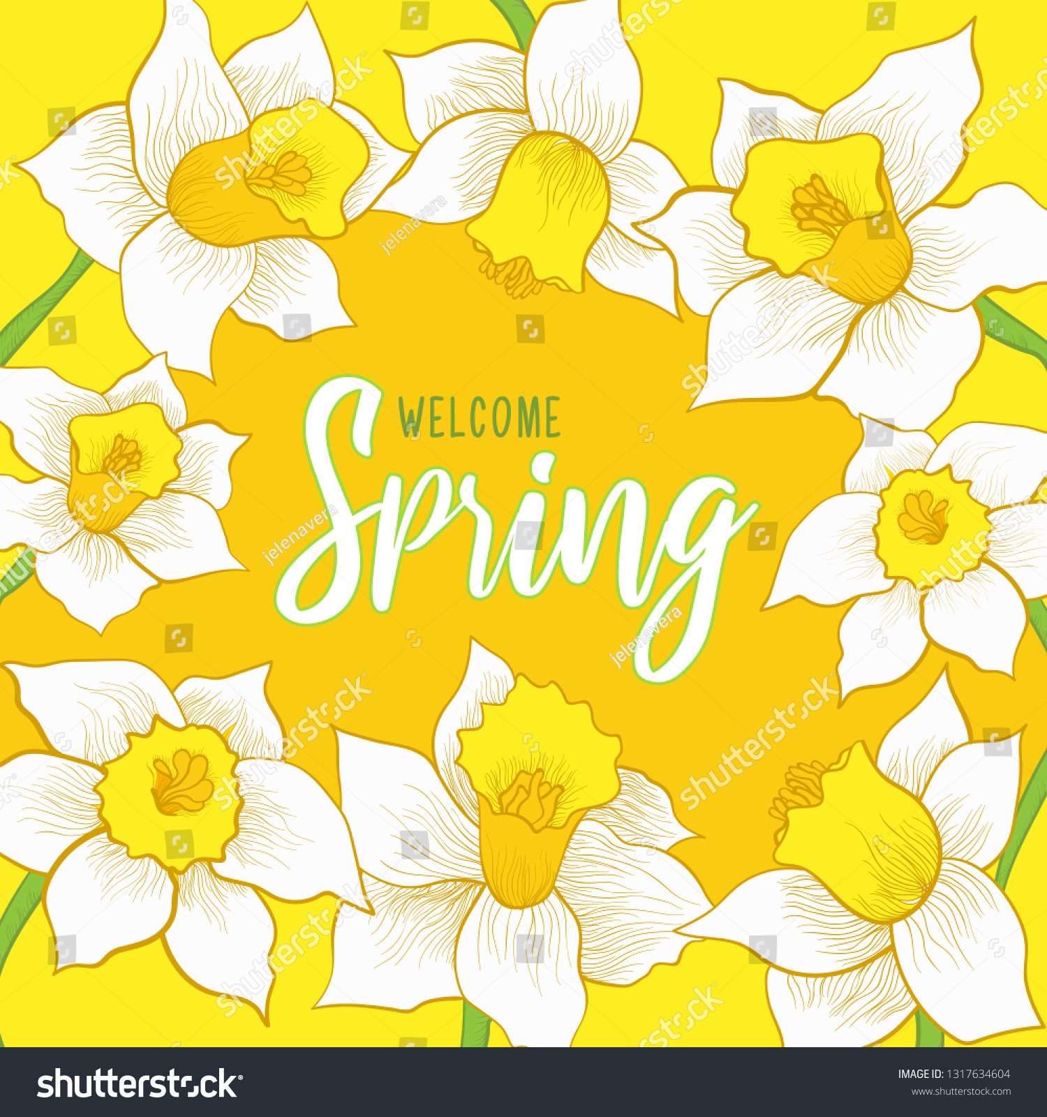 Welcome Spring White Daffodils Stock Vector (Royalty Free) 1317634604 ...