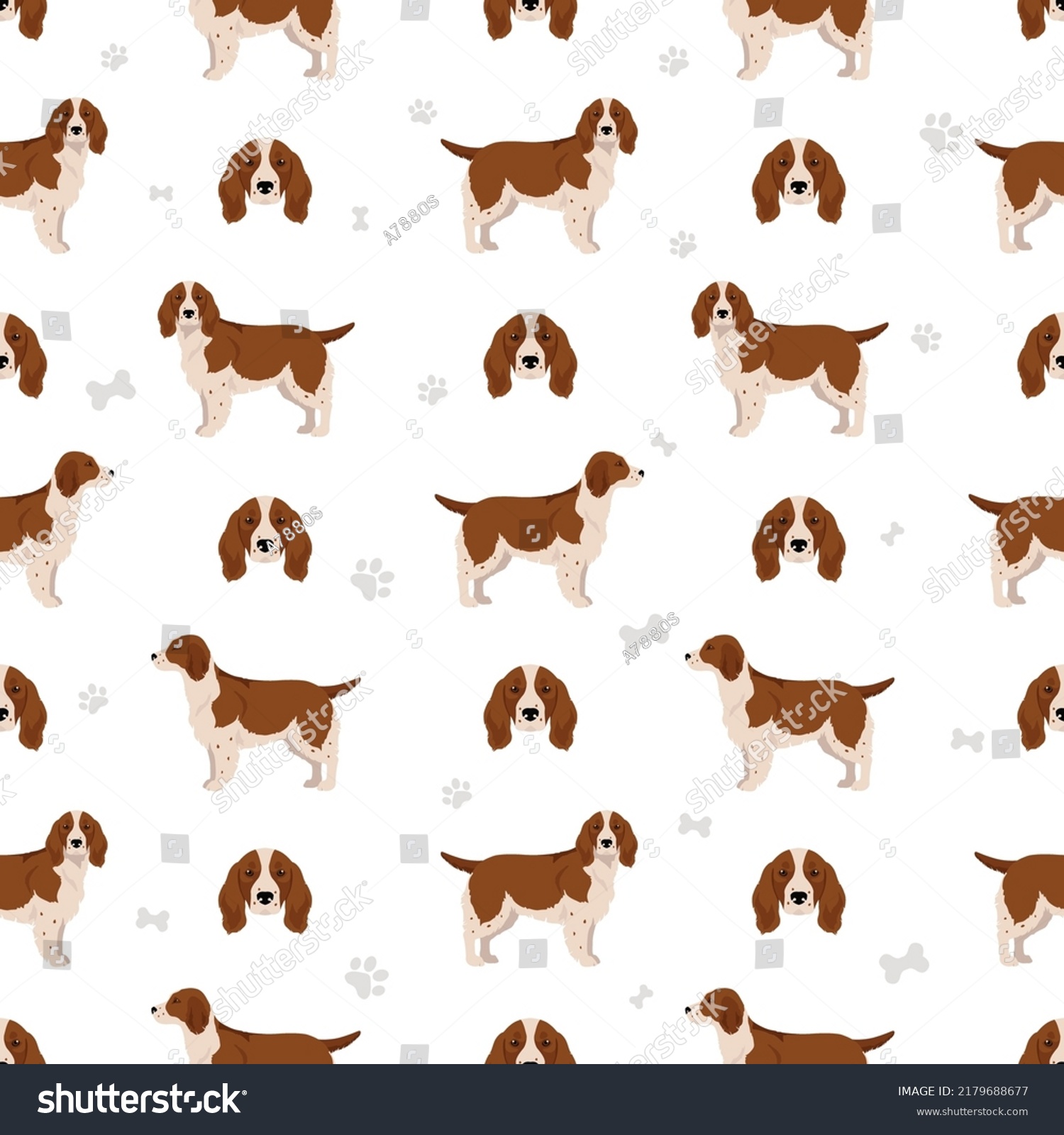 Welsh Springer Spaniel Seamless Pattern Different Stock Vector (Royalty ...