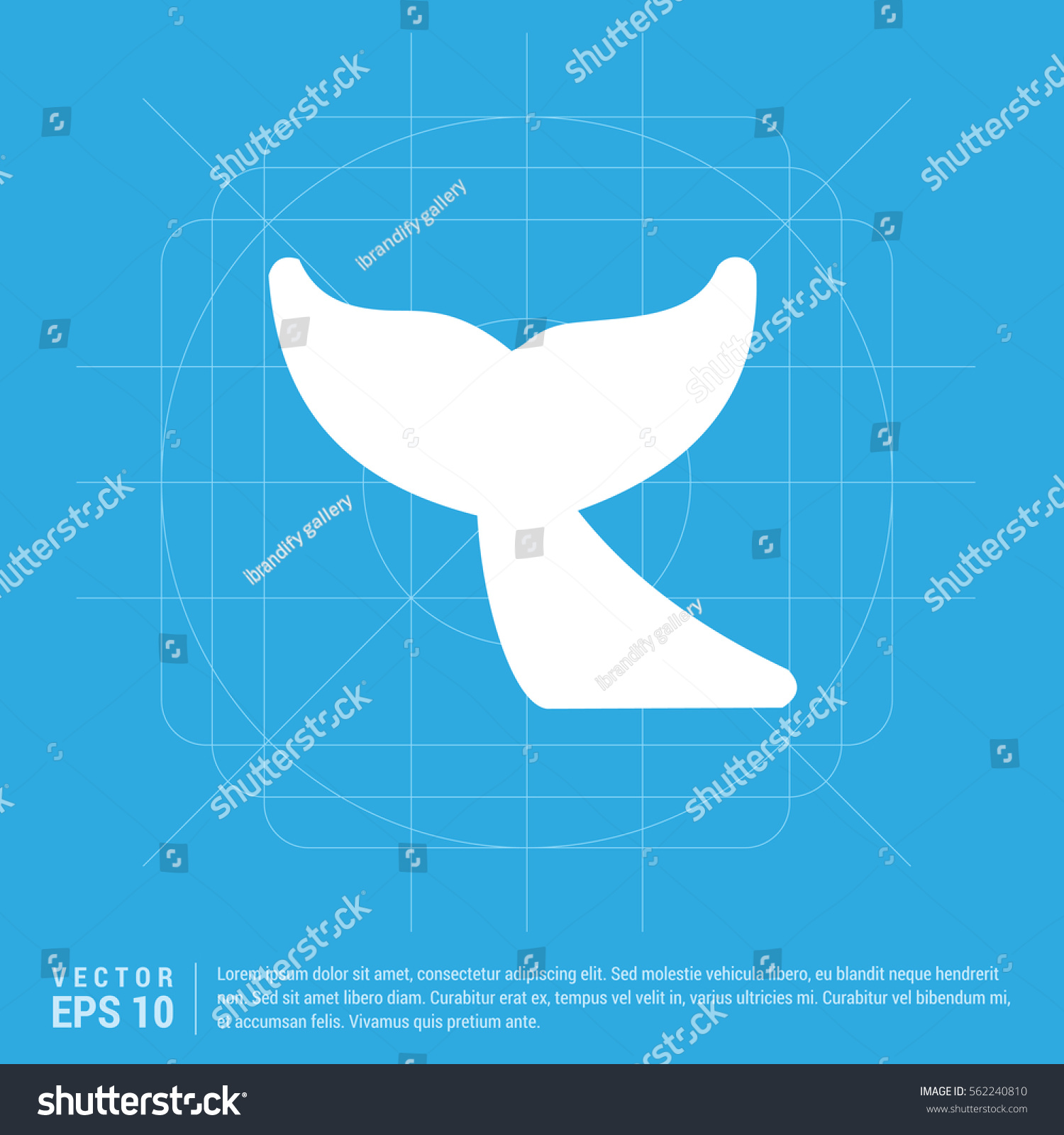 Whale Tail Icon Stock Vector (Royalty Free) 562240810