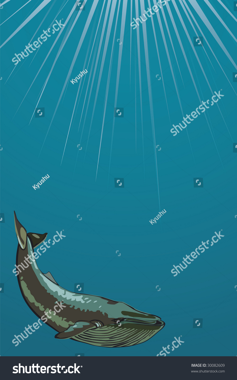 Whale Underwater Vector Image Stock Vector (Royalty Free) 30082609 ...