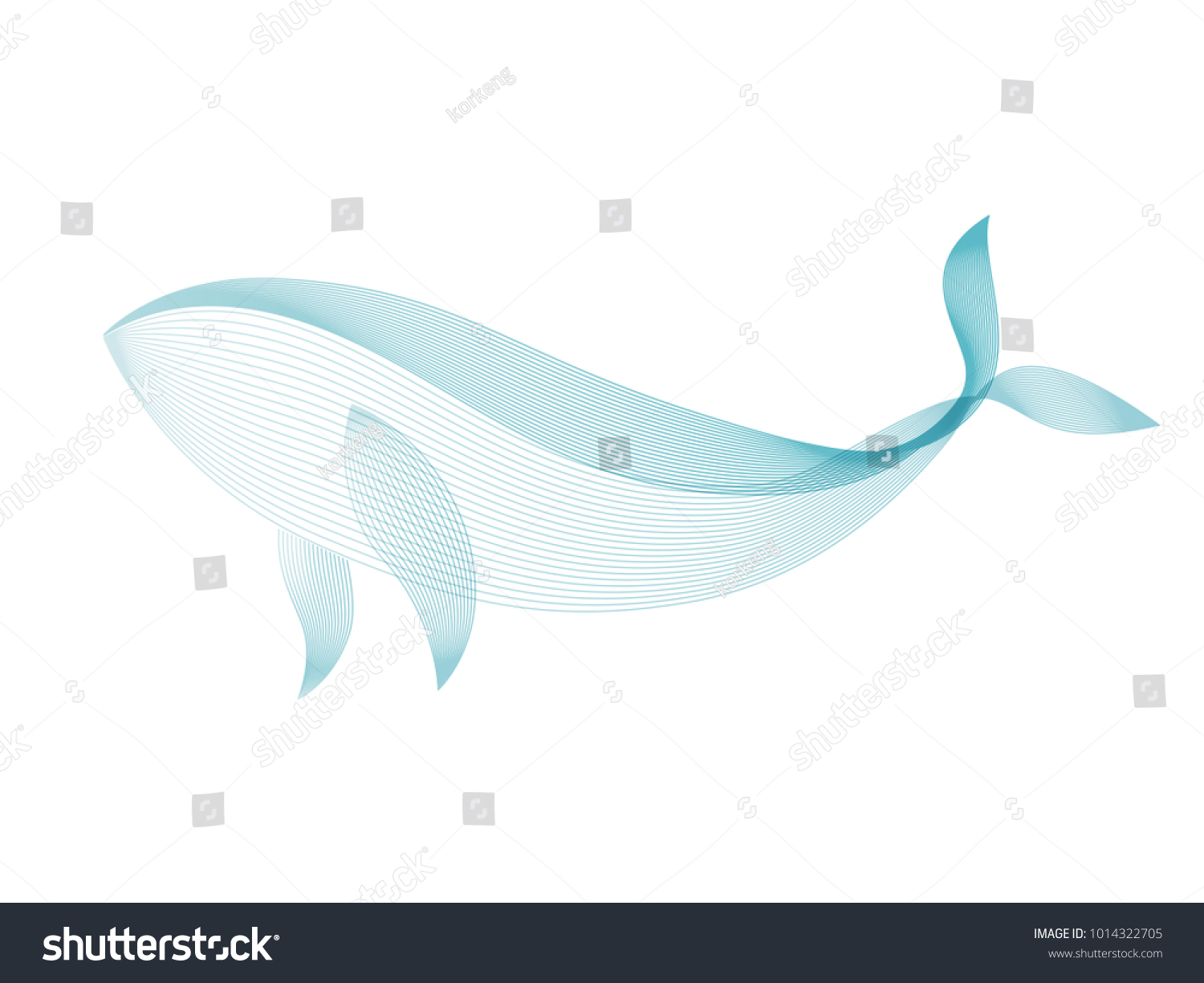 Whale Vector Illustration Create By Transparent Stock Vector (Royalty ...
