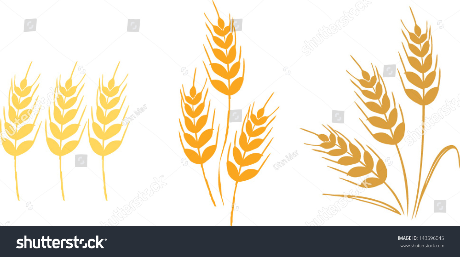Wheat Barley Icon Vector Illustration Stock Vector (Royalty Free ...