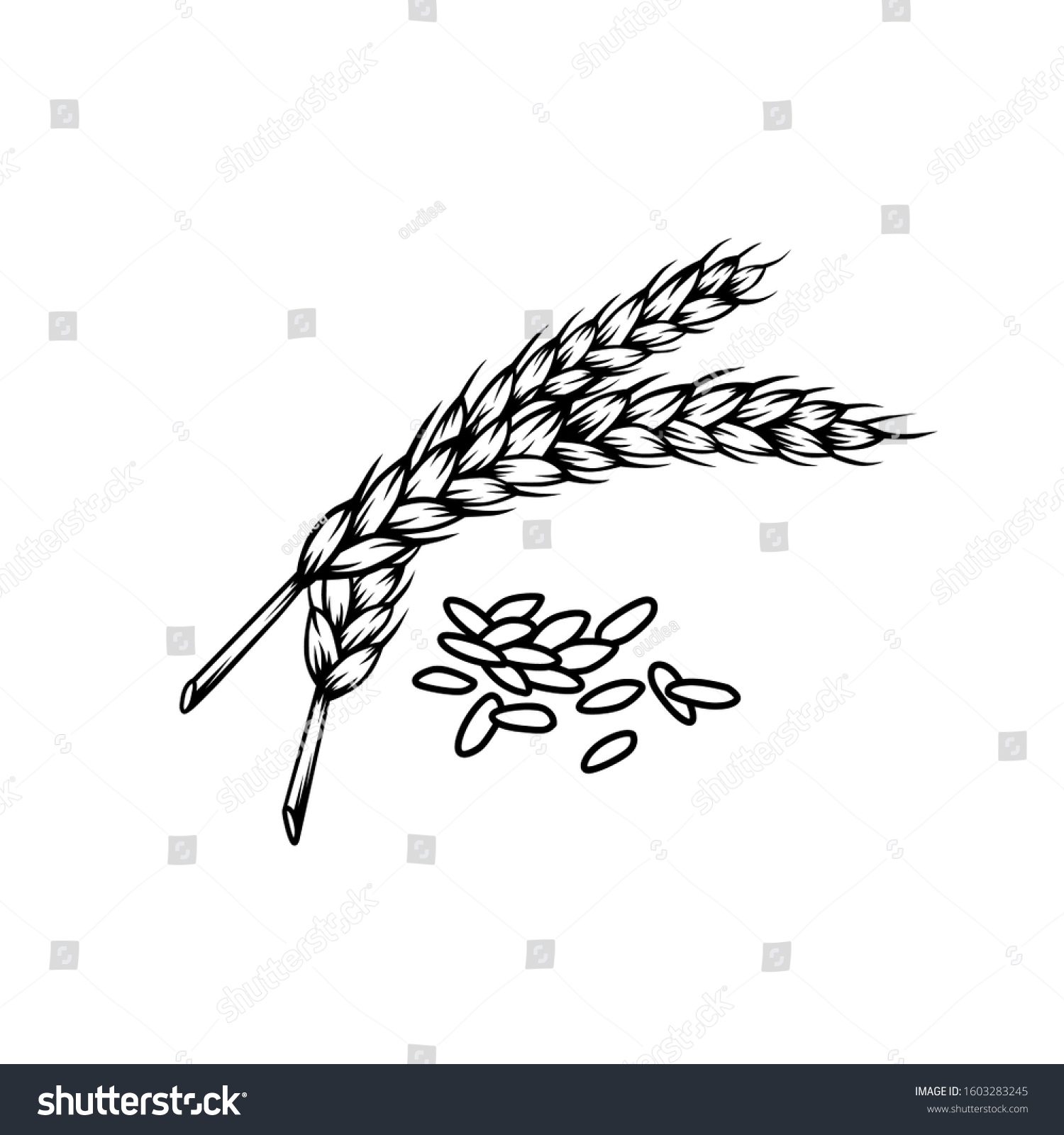 Wheat Black White Vector All Purpose Stock Vector (Royalty Free) 1603283245