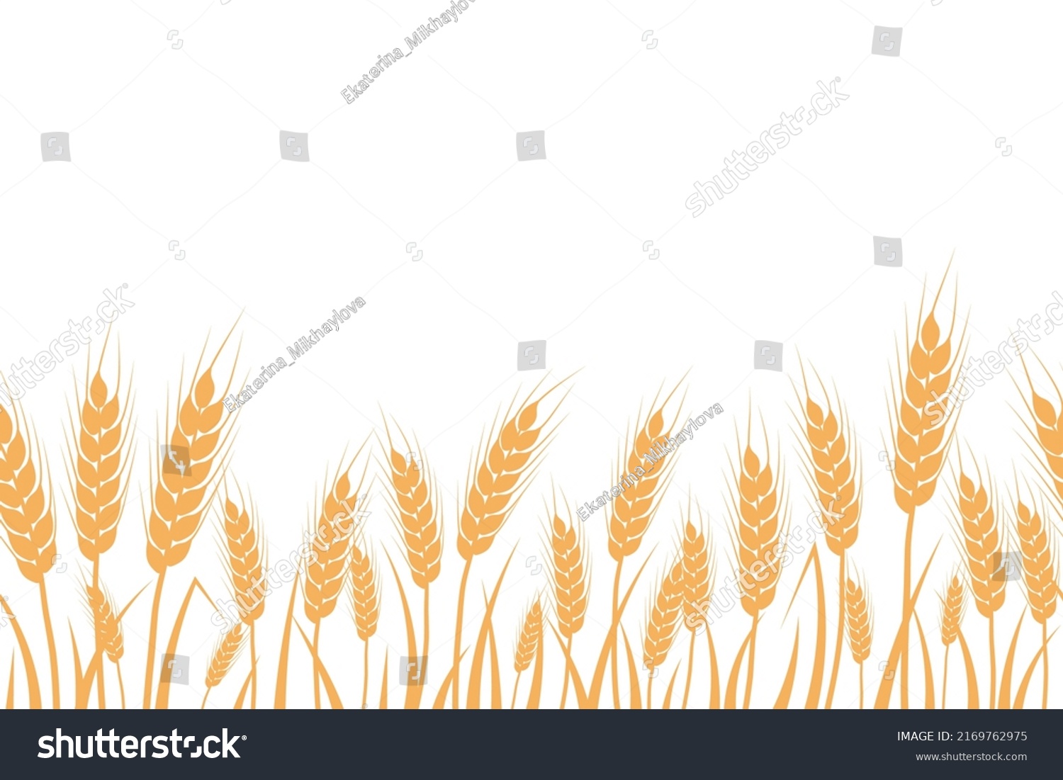 Wheat Oat Rye Barley Field Silhouette Stock Vector (Royalty Free ... Wheat Oat Rye Barley Field Silhouette Stock Vector (Royalty Free ...