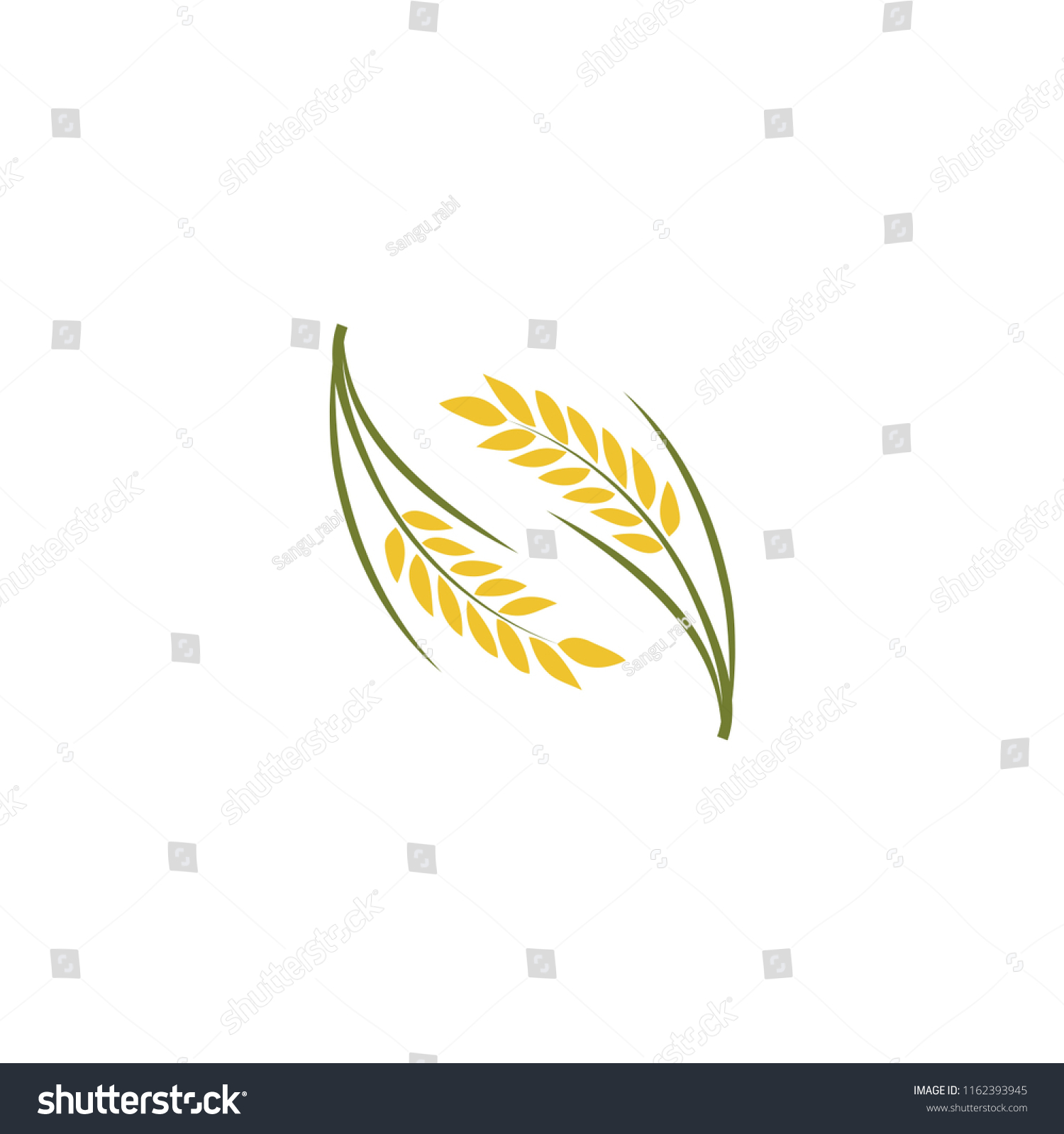 Wheat Paddy Logo Stock Vector (Royalty Free) 1162393945 | Shutterstock