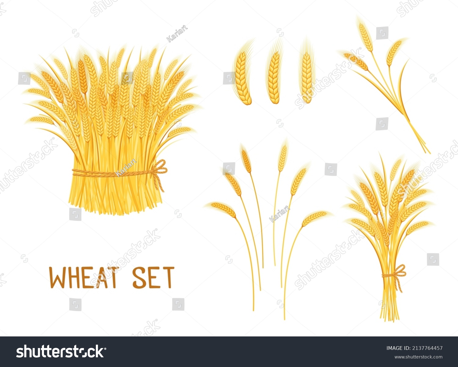 Wheat Set Vector Illustration Isolated On Stock Vector (Royalty Free ...