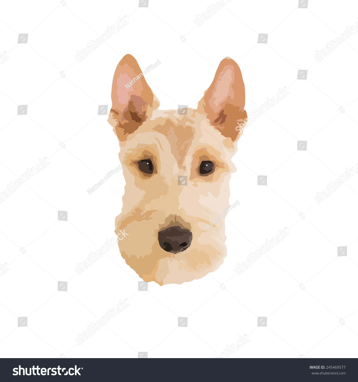 Wheaten Scottie Vector Stock Vector (Royalty Free) 245469577 | Shutterstock