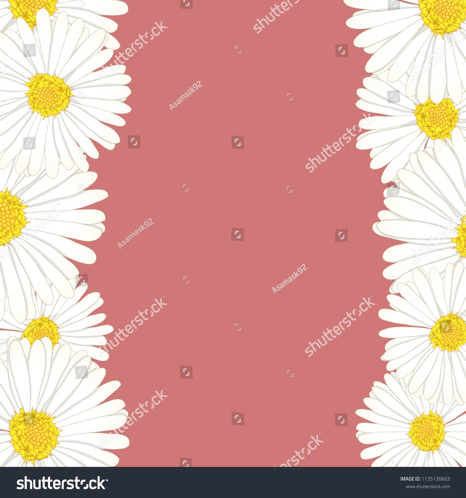 White Aster Daisy Flower Border Vector: vetor stock (livre de direitos ...