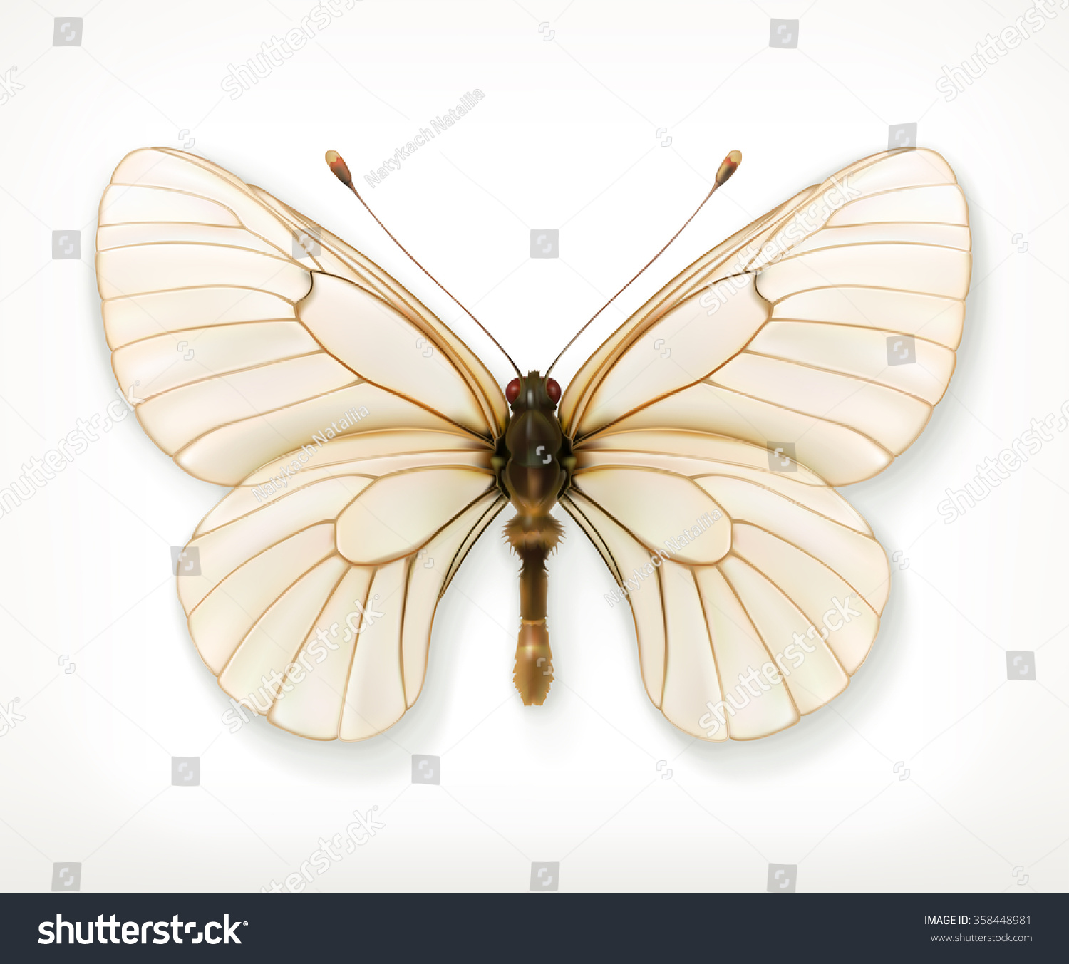 White Butterfly Vector Icon Stock Vector (Royalty Free) 358448981