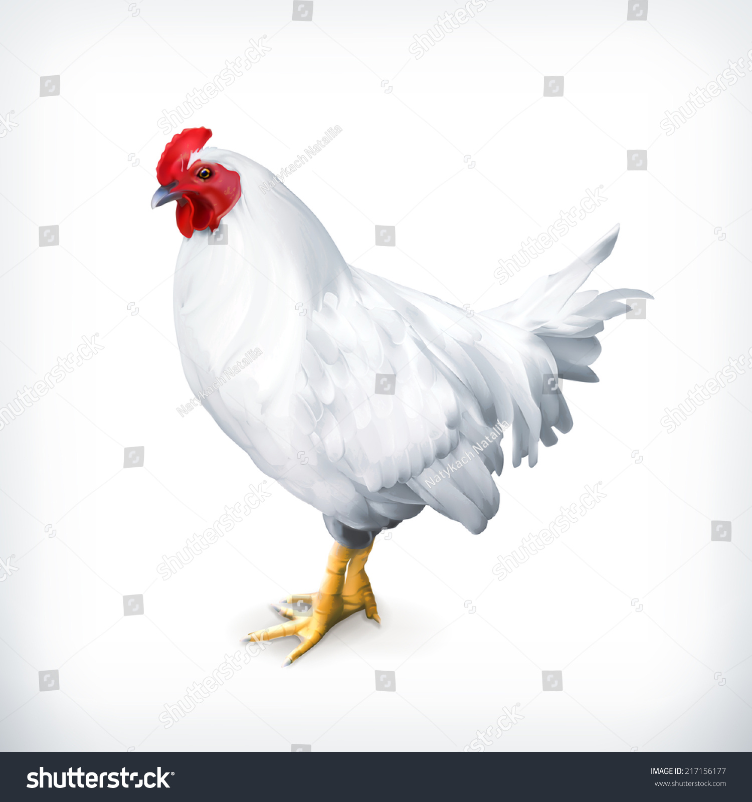 White Chicken Vector Illustration Stock Vector (Royalty Free) 217156177