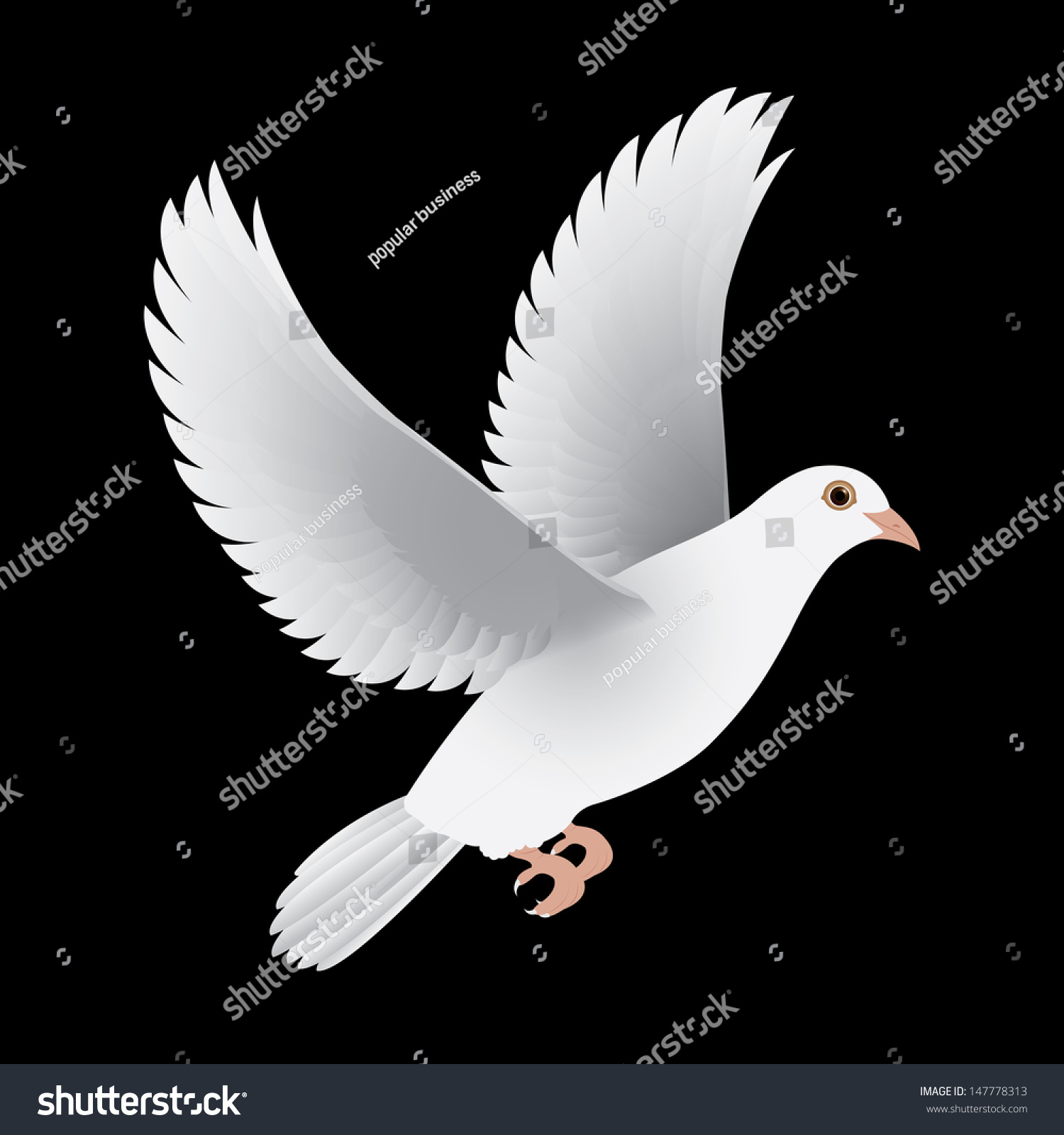 White Dove Isolated Black Vector Stock Vector (Royalty Free) 147778313
