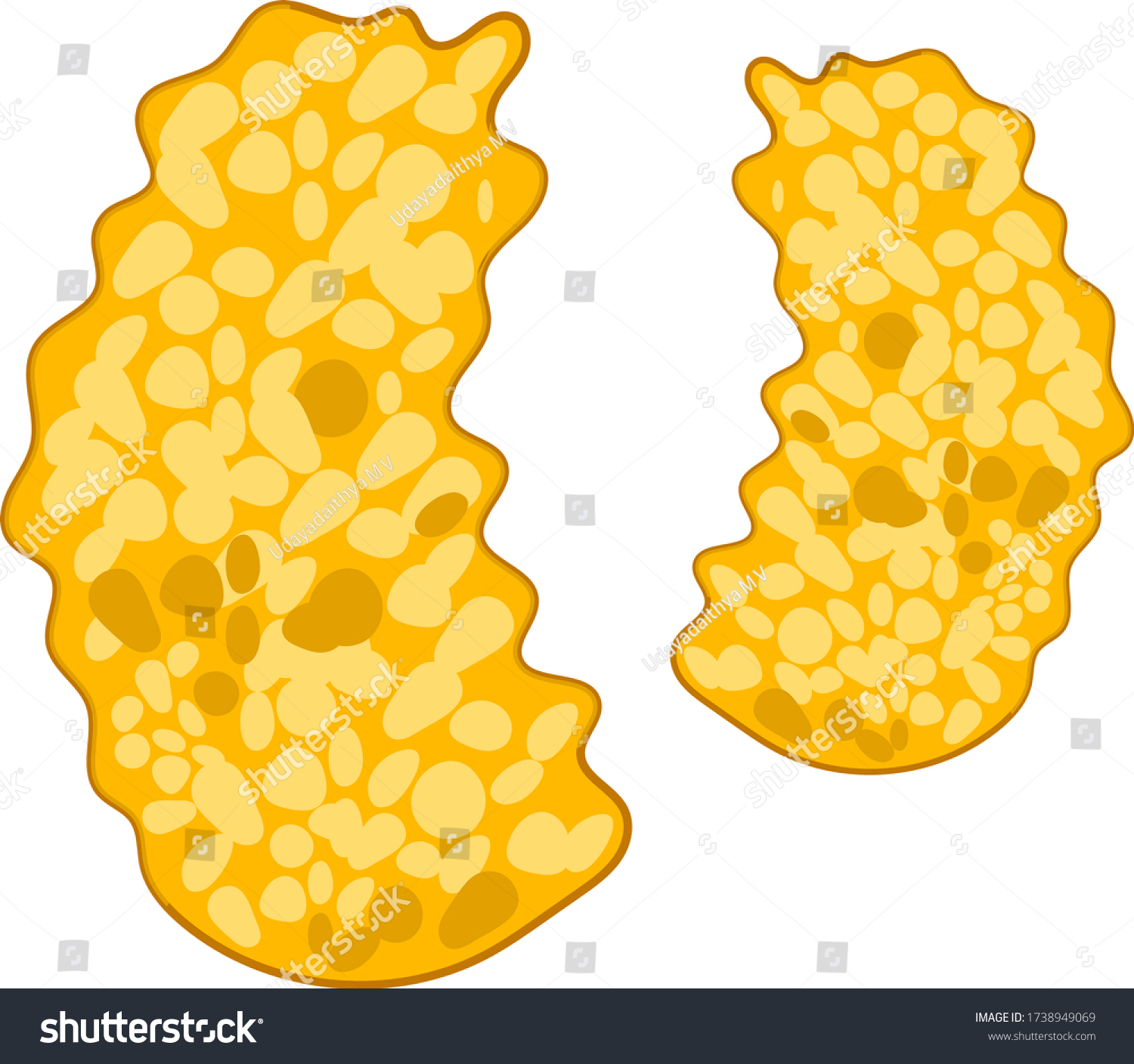 6,152 Fat tissue Images, Stock Photos & Vectors | Shutterstock