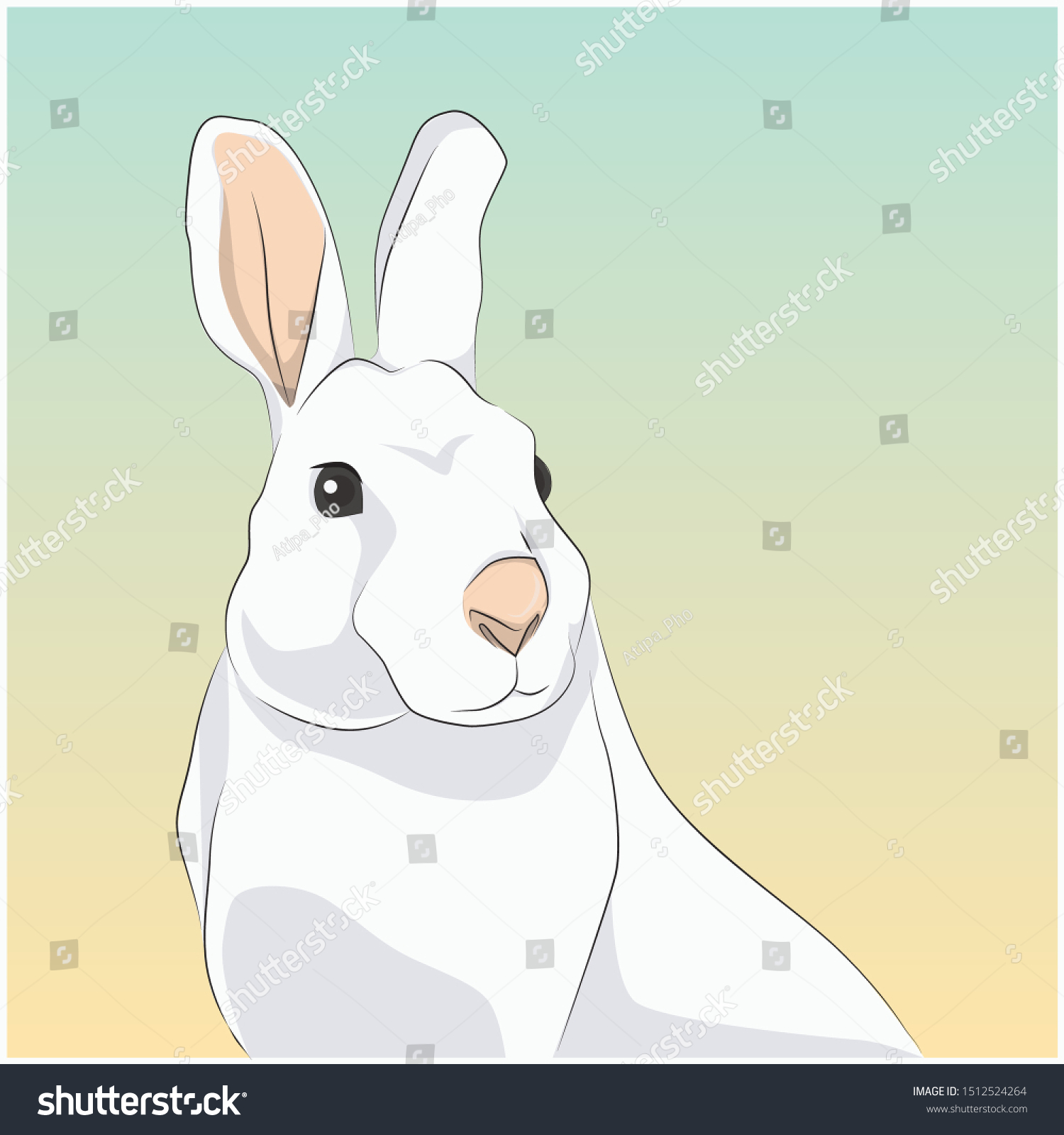 White Handsome Rabbit Illustrator Vector Stock Vector (Royalty Free ...