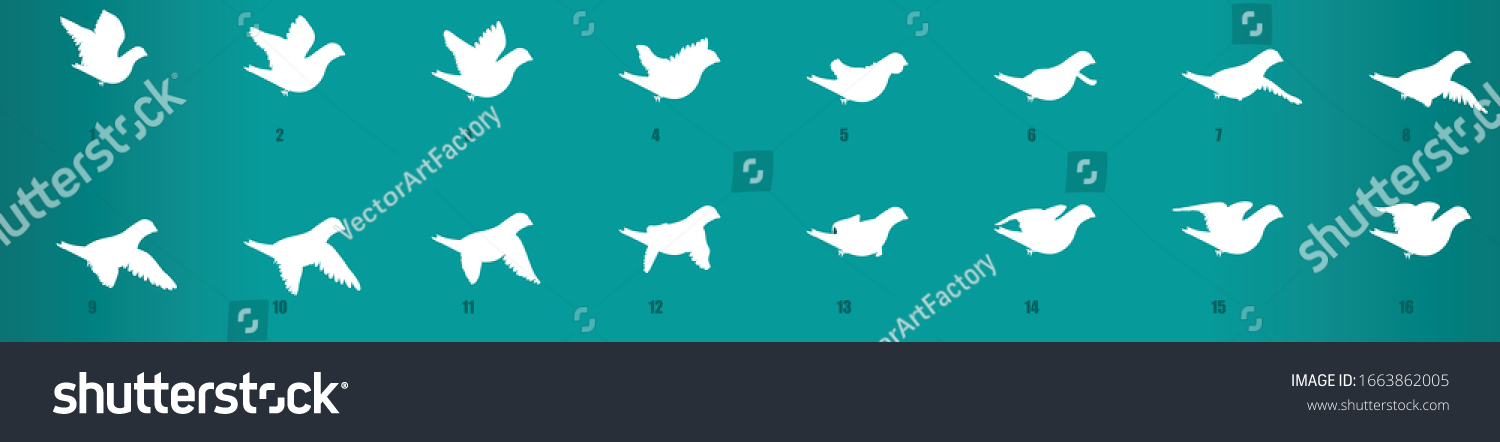 White Pigeon Flying Animation Sequence Loop Stock Vector (Royalty Free ...