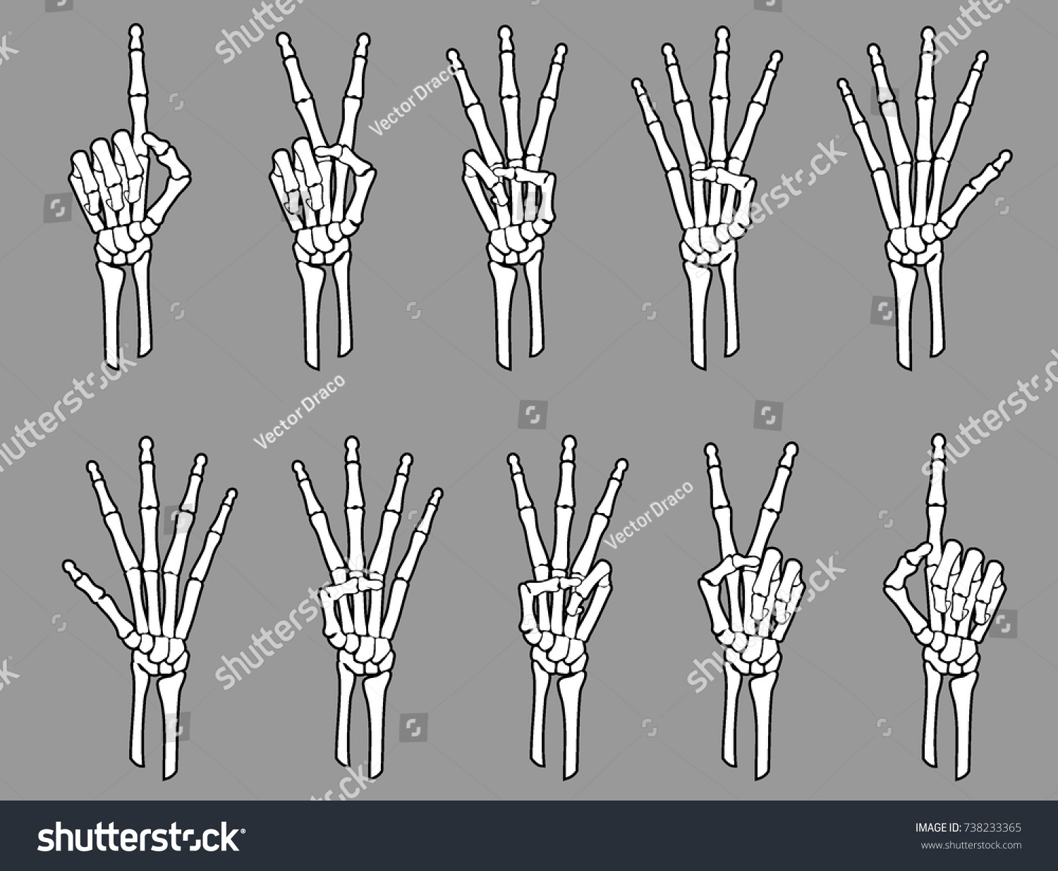 1,047 3 skeleton hand Images, Stock Photos & Vectors | Shutterstock