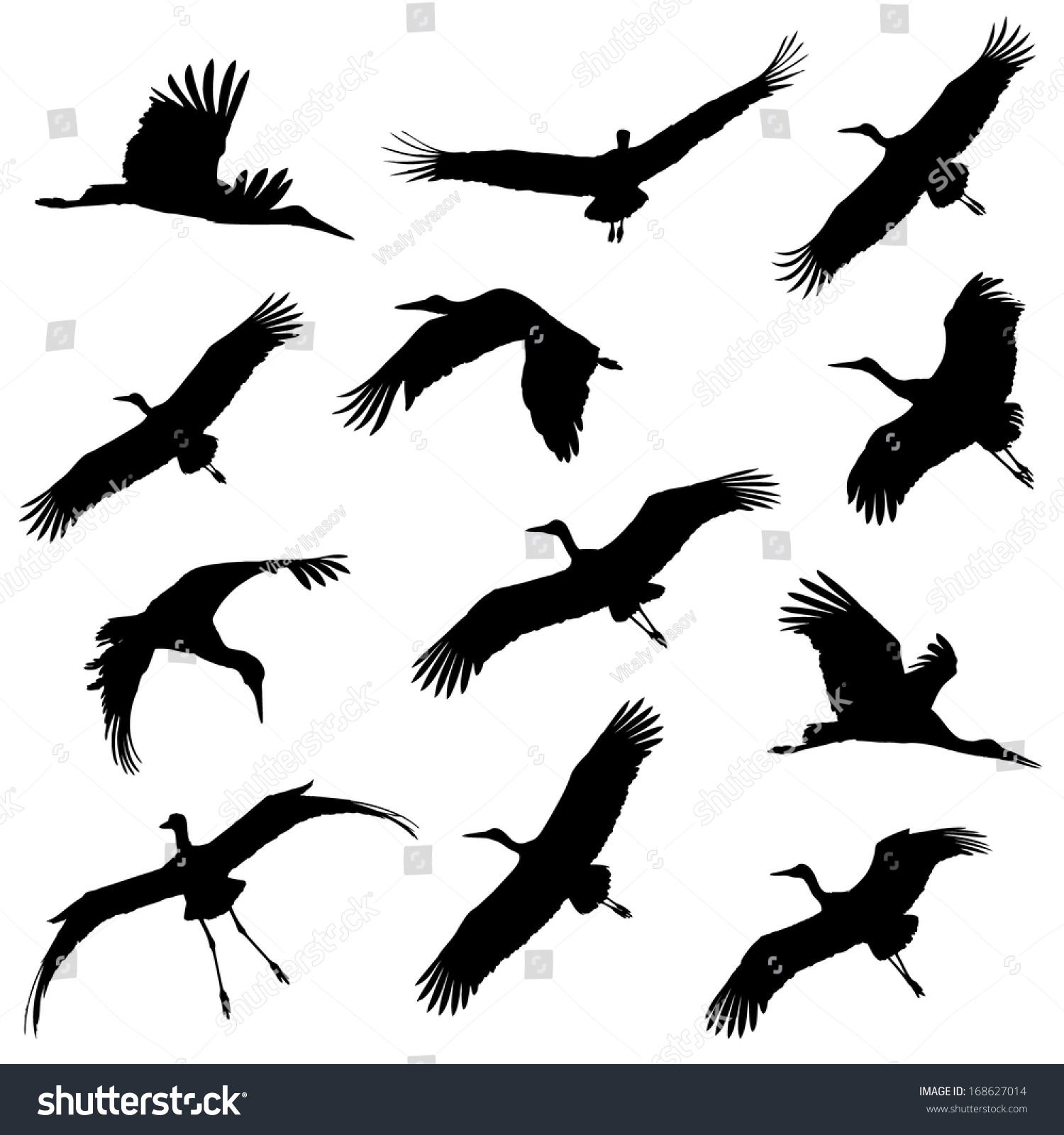 White Stork Flight Silhouettes Stock Vector 168627014 - Shutterstock