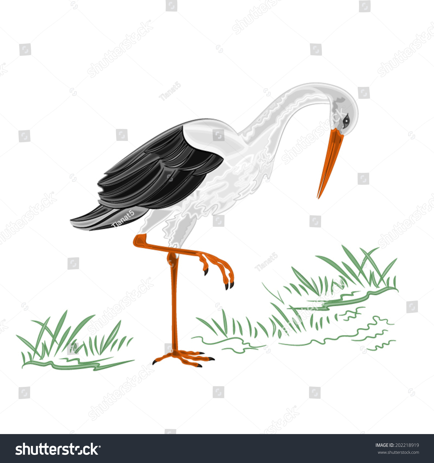 White Stork Vector Illustration: vector de stock (libre de regalías ...