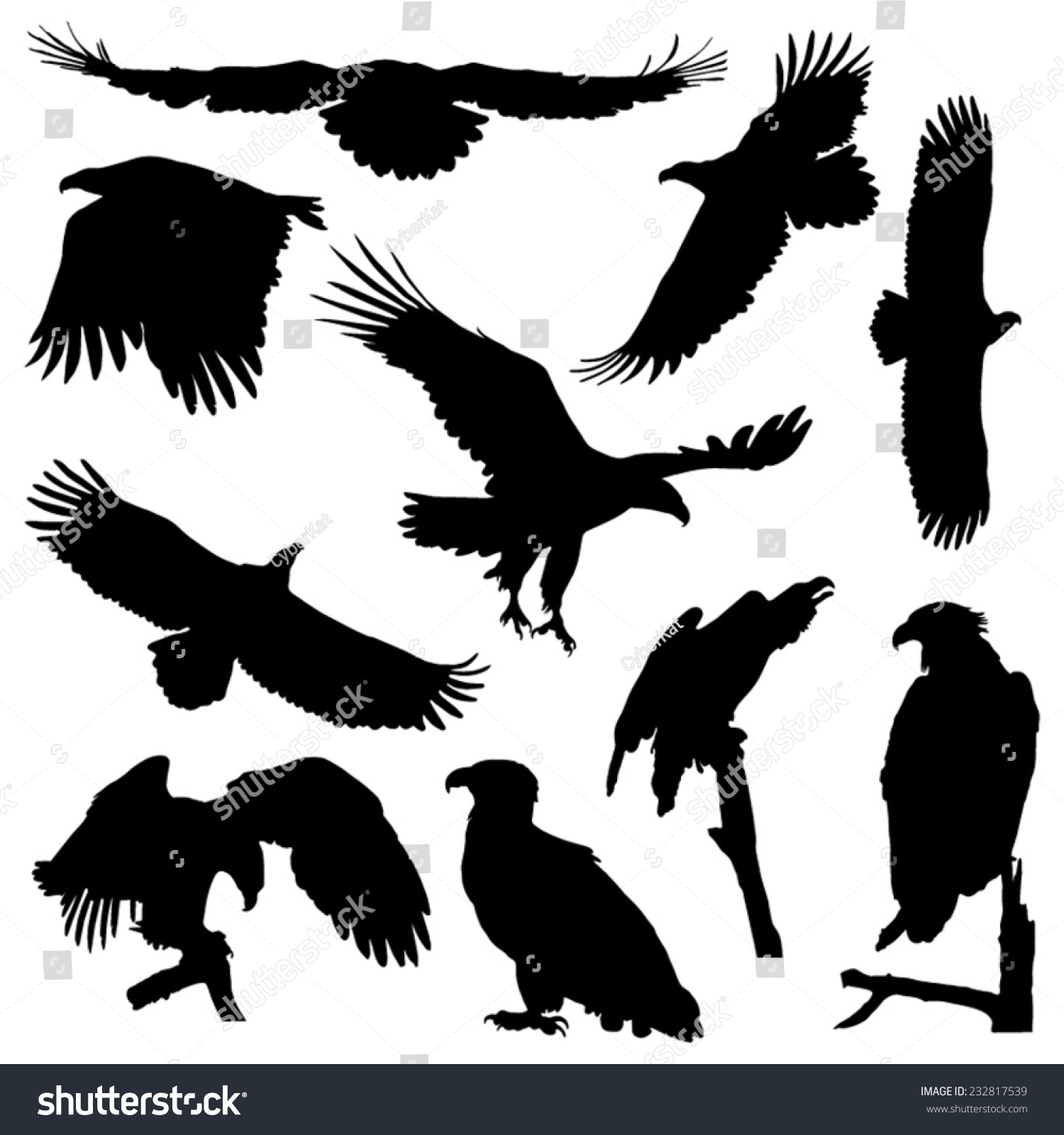 Whitetailed Eagle Flight Silhouettes Vector Set Stock Vector (Royalty ...