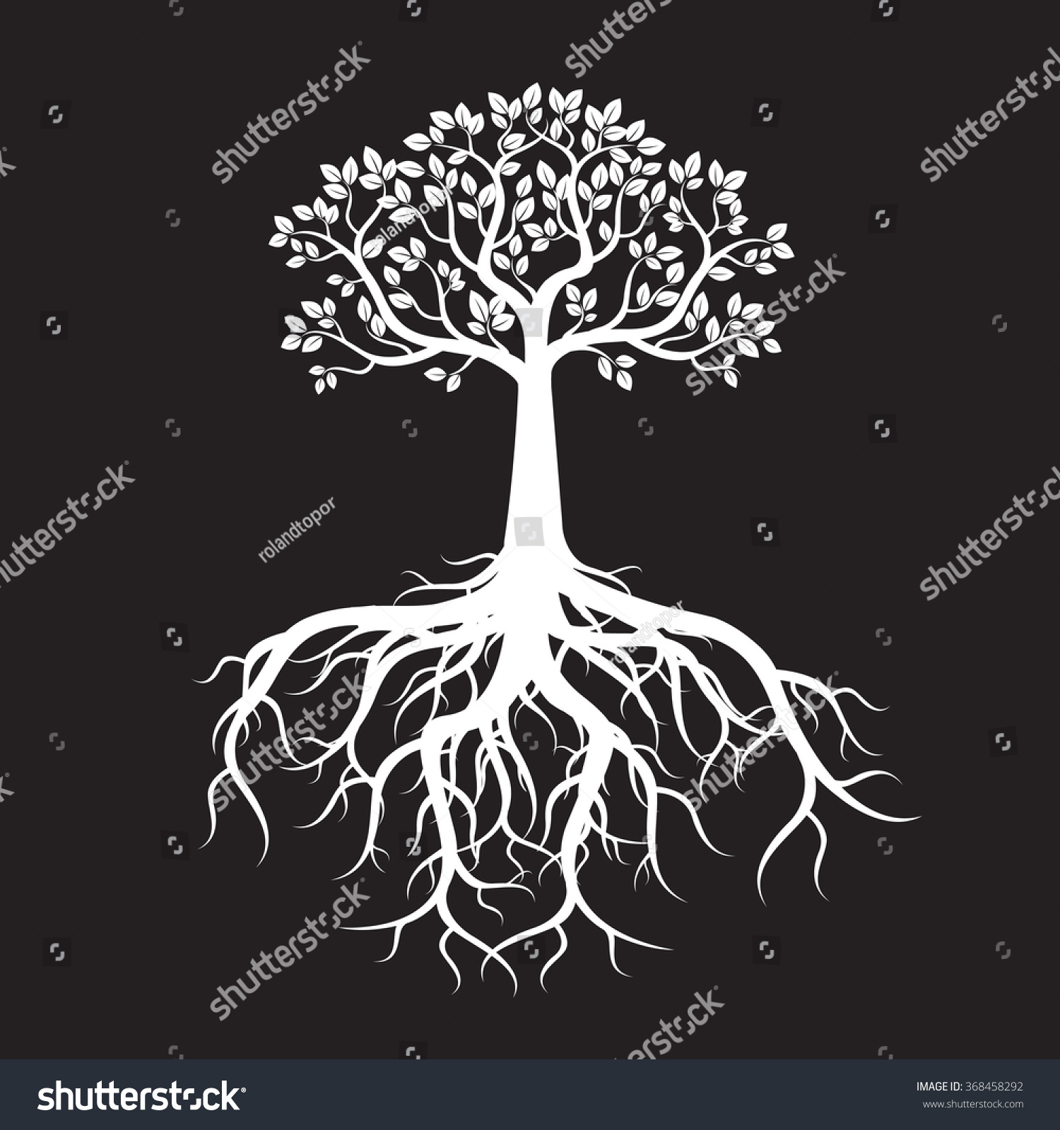 White Tree Roots Vector Illustration: vector de stock (libre de ...