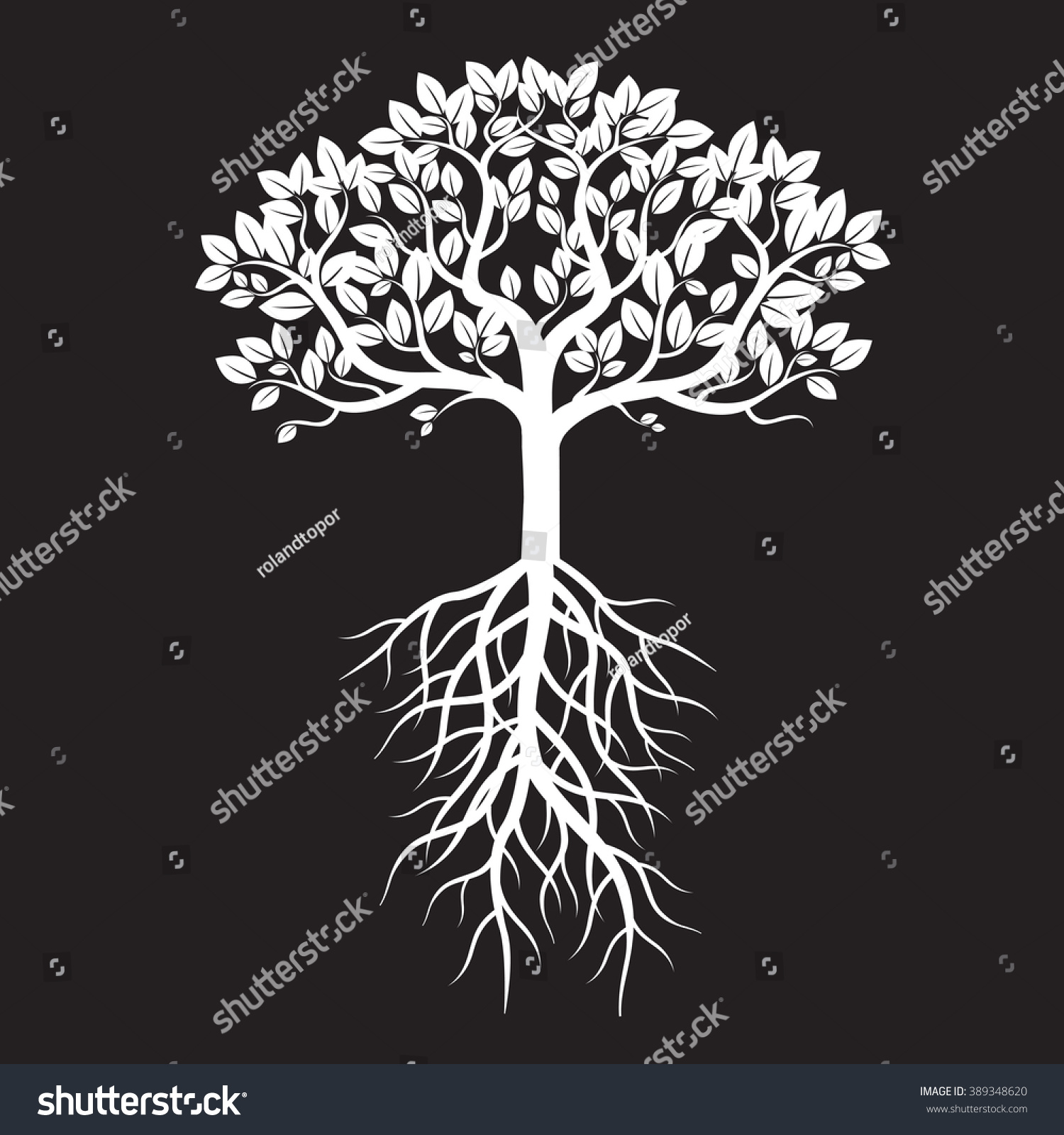 White Tree Roots Vector Illustration: vector de stock (libre de ...