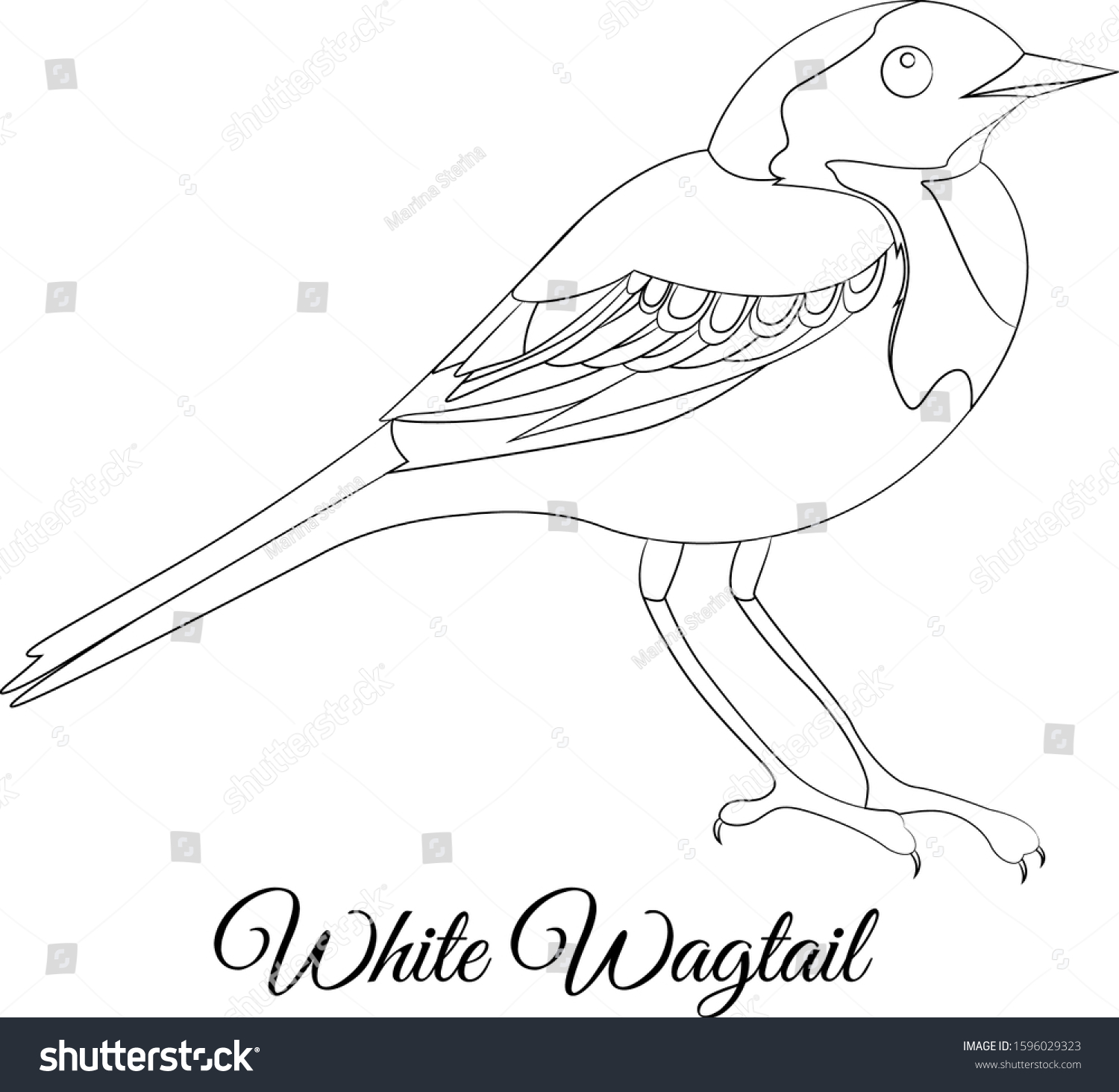 White Wagtail Bird Coloring Vector Illustration Stock Vector (Royalty ...