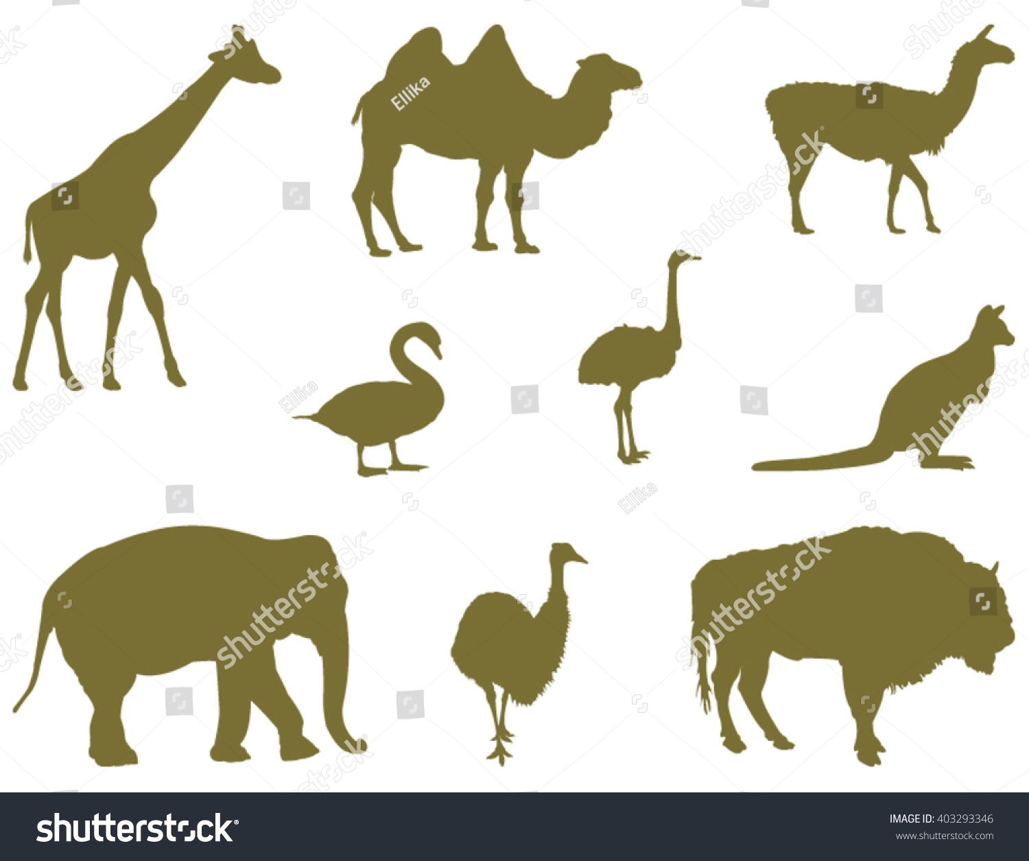 Wild Animal Silhouettes Vector Illustration Stock Vector (Royalty Free ...