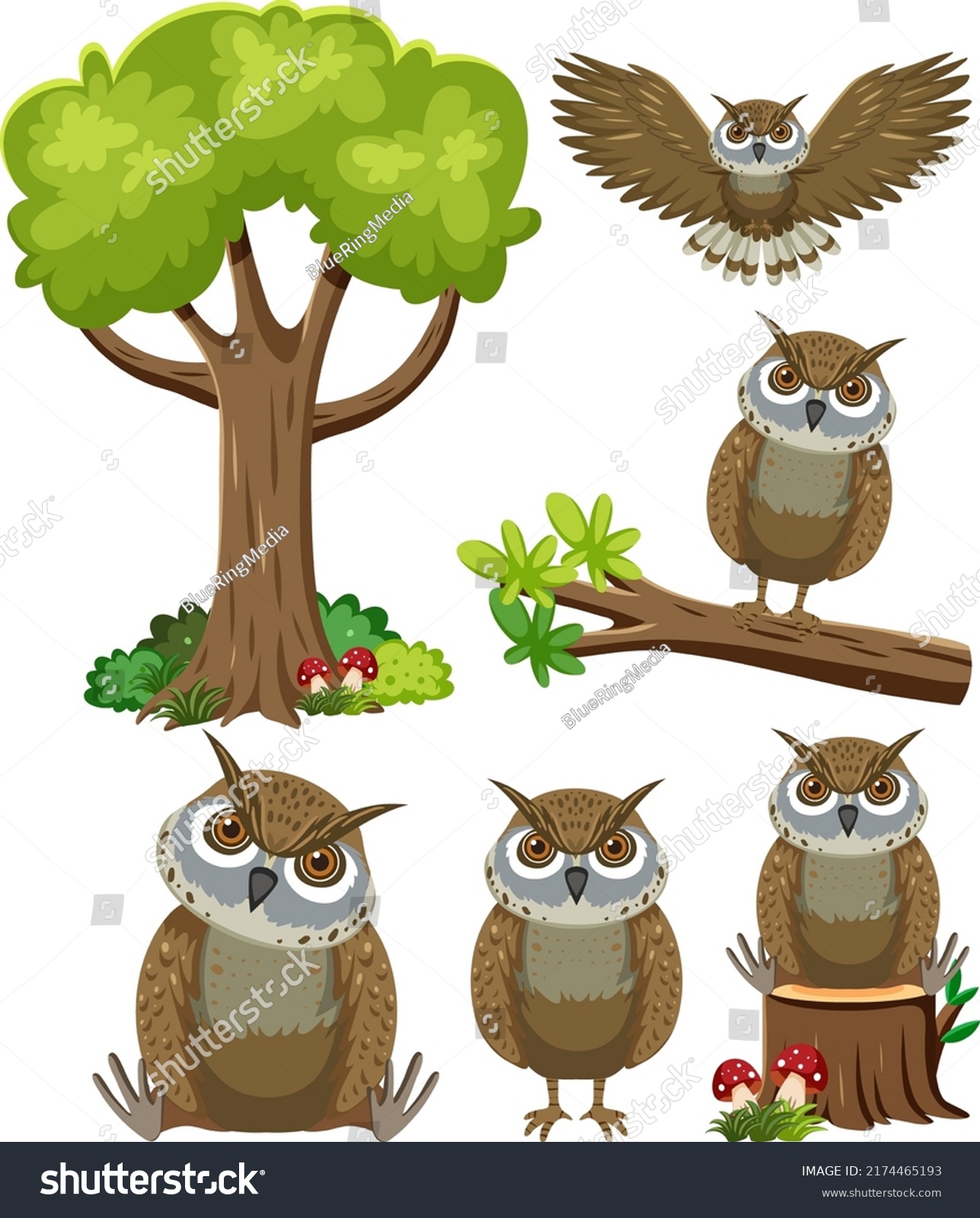 Wild Animals Set Nature Elements Illustration Stock Vector (Royalty ...