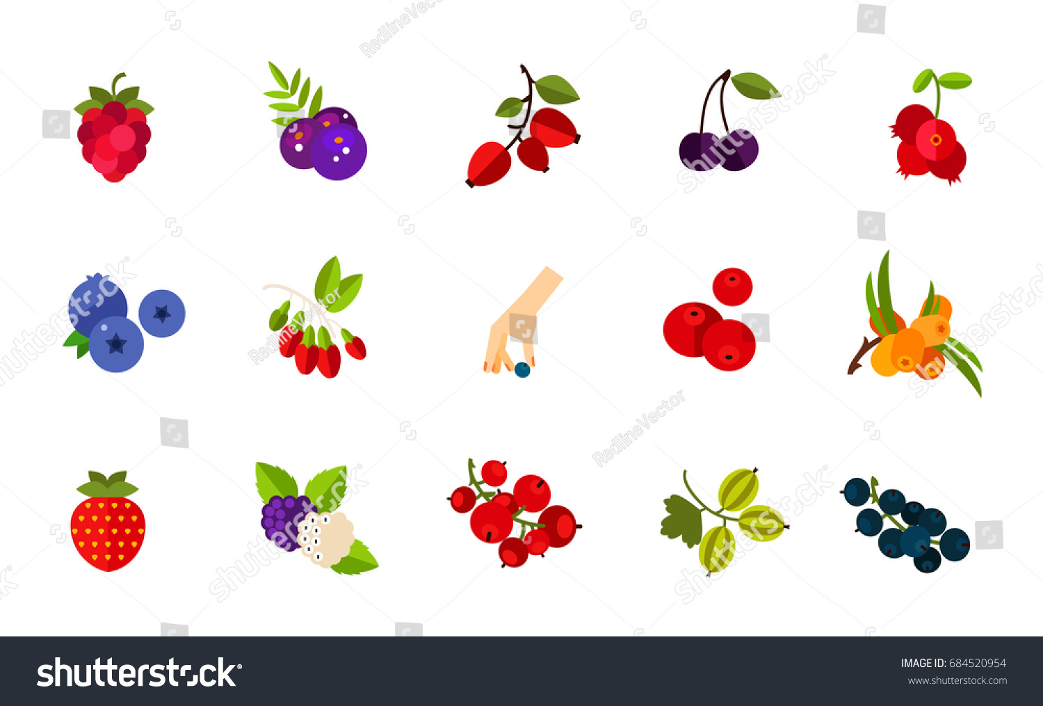 Wild Berries Icon Set Stock Vector (Royalty Free) 684520954