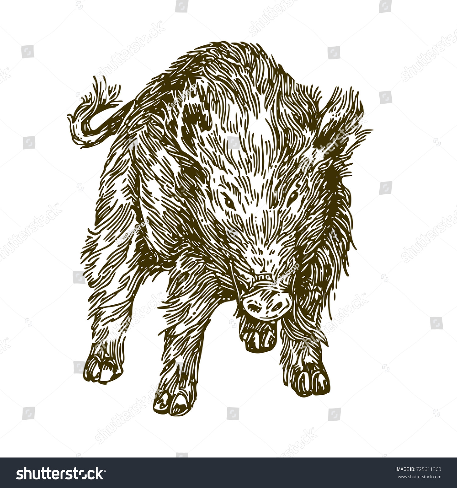 2,681 Angry boar Images, Stock Photos & Vectors | Shutterstock
