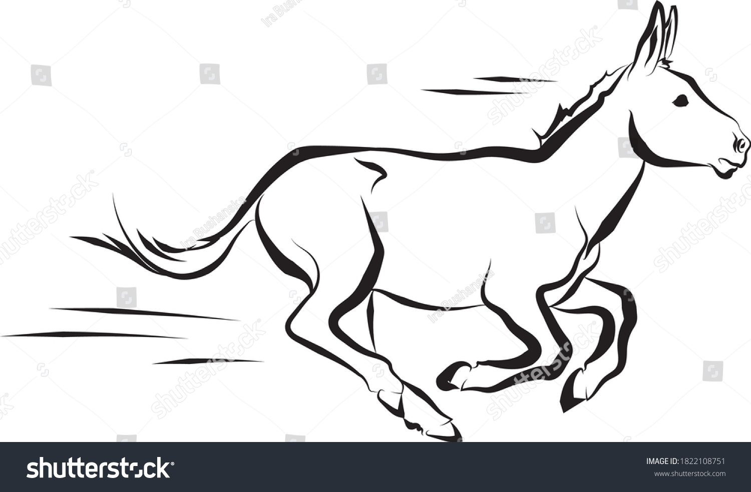 Wild Donkey Galloping Vector Illustration Donkey Stock Vector (Royalty ...