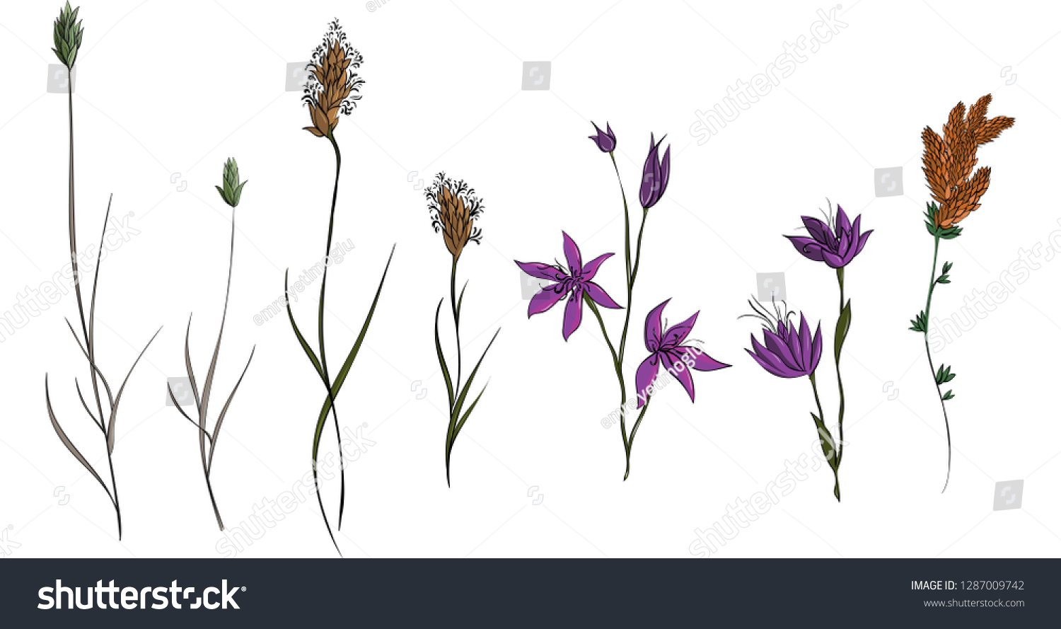 Wild Flower Drawing Vector Stock Vector (Royalty Free) 1287009742