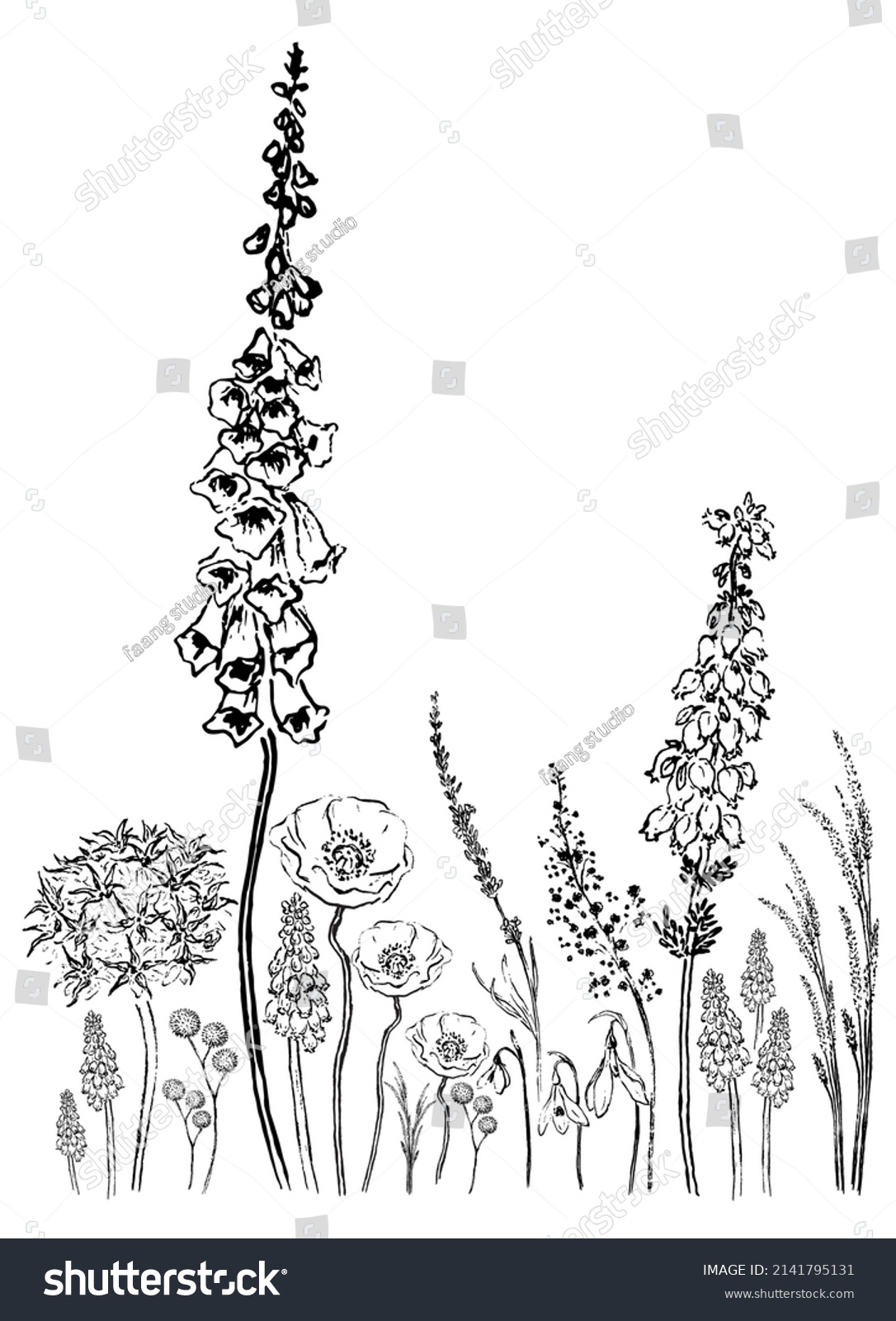 Wildflower Meadow Pencil Drawing Vector Stock Vector (Royalty Free ...