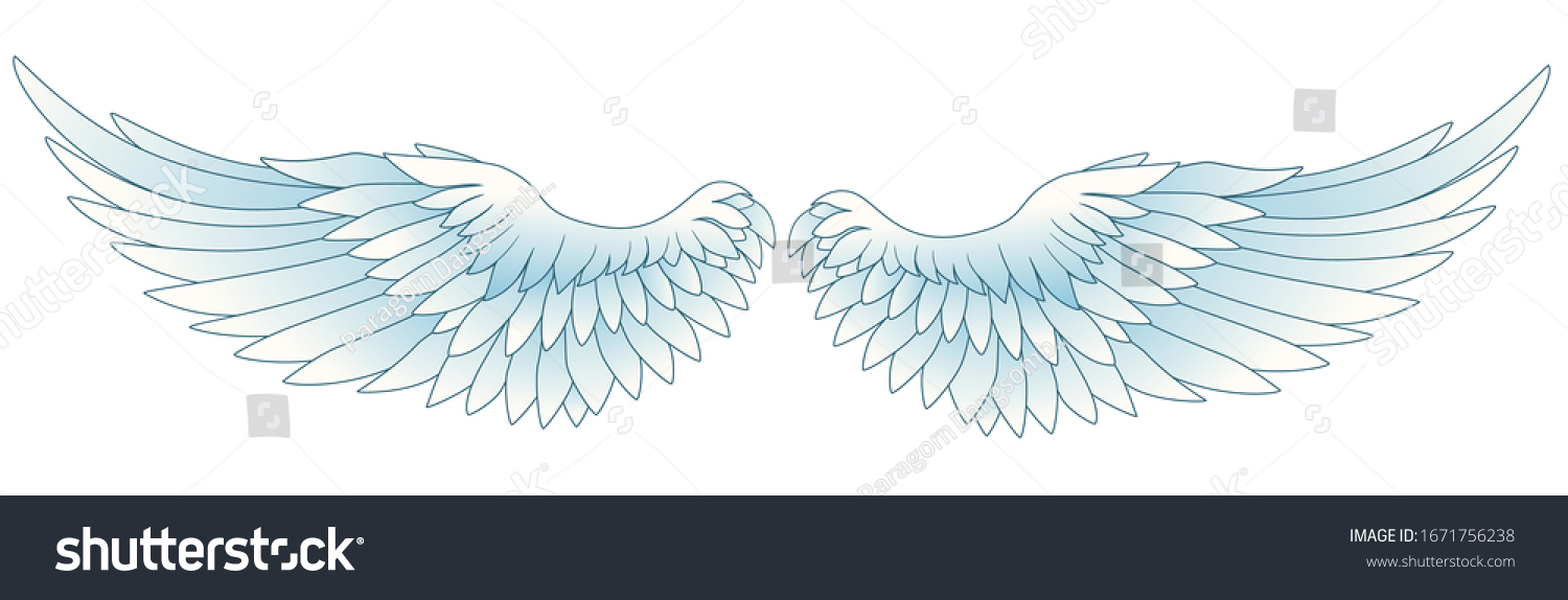 Wing Cartoon Drawing Graphic Vector Stock Vector (Royalty Free ...